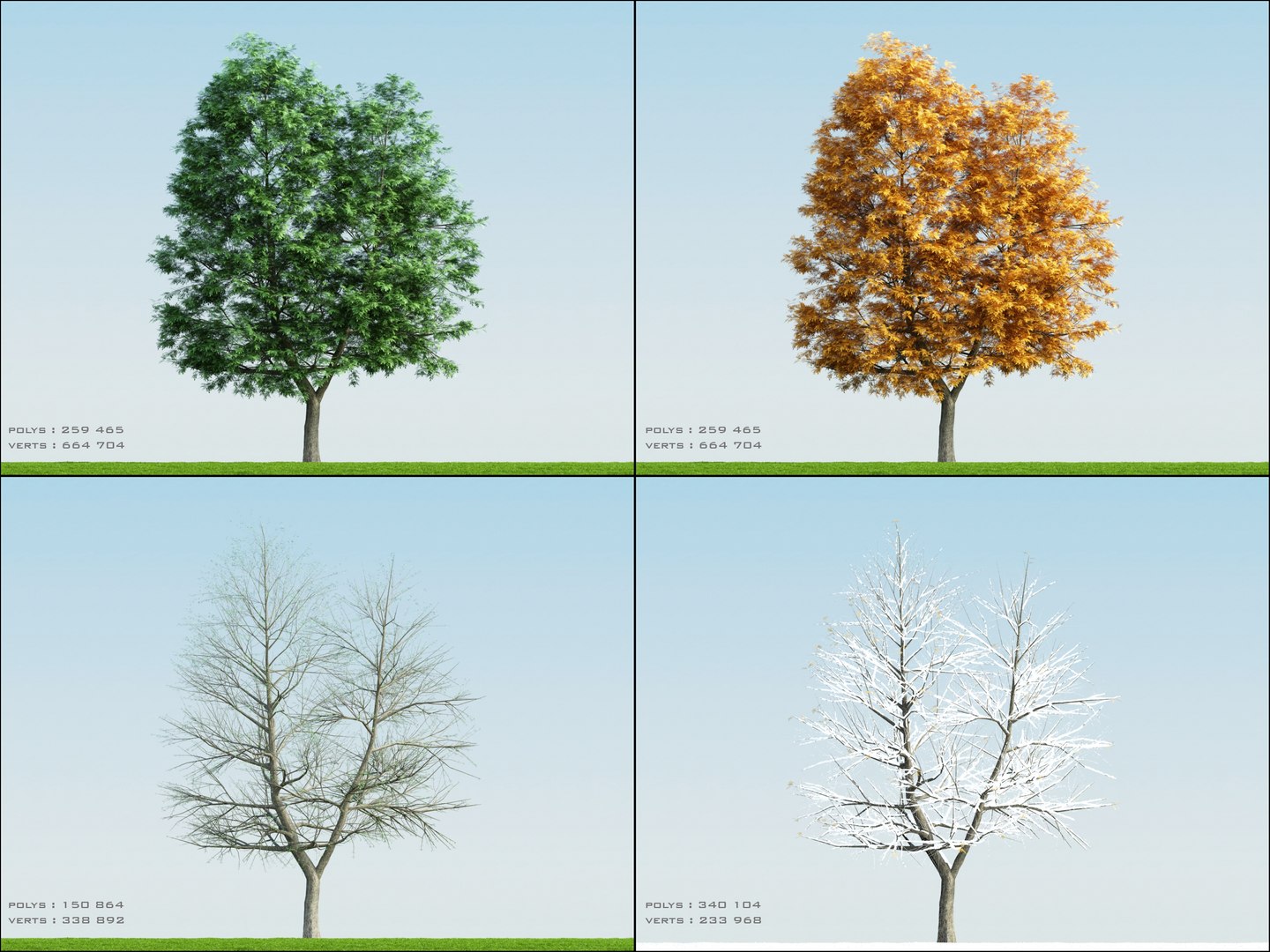 3d Model 4 Season Ash003