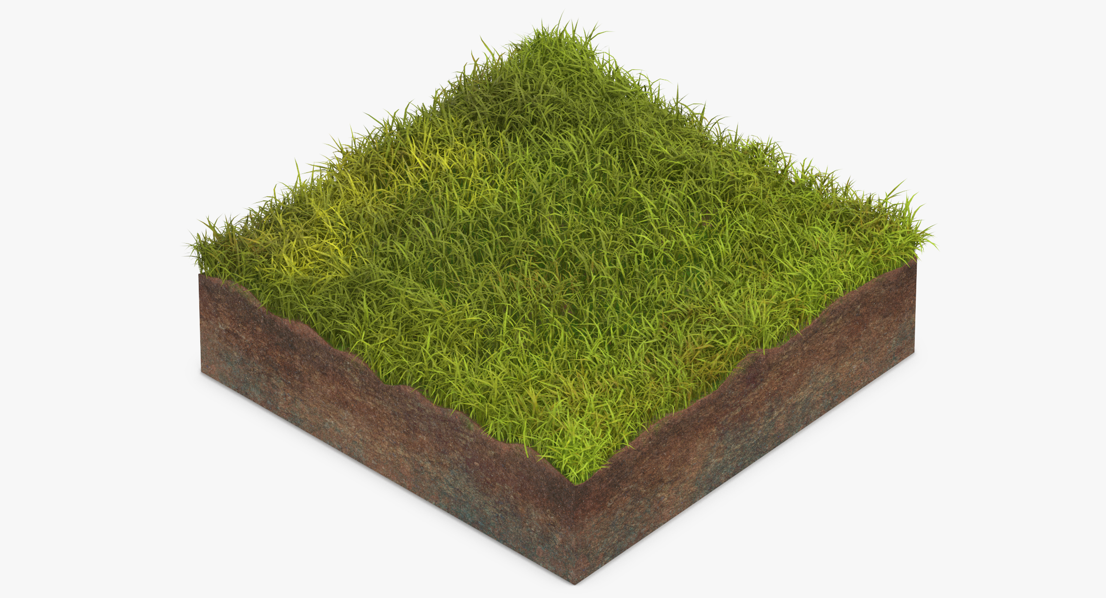 modelo 3d Grass Cross Secciones 03 - TurboSquid 1320699