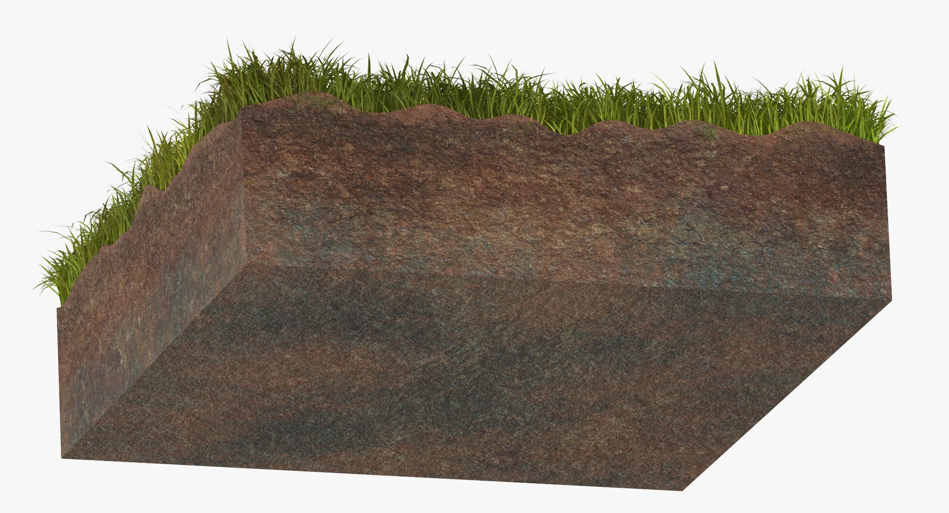 Grass Cross Section 03 3D Model - TurboSquid 1320699