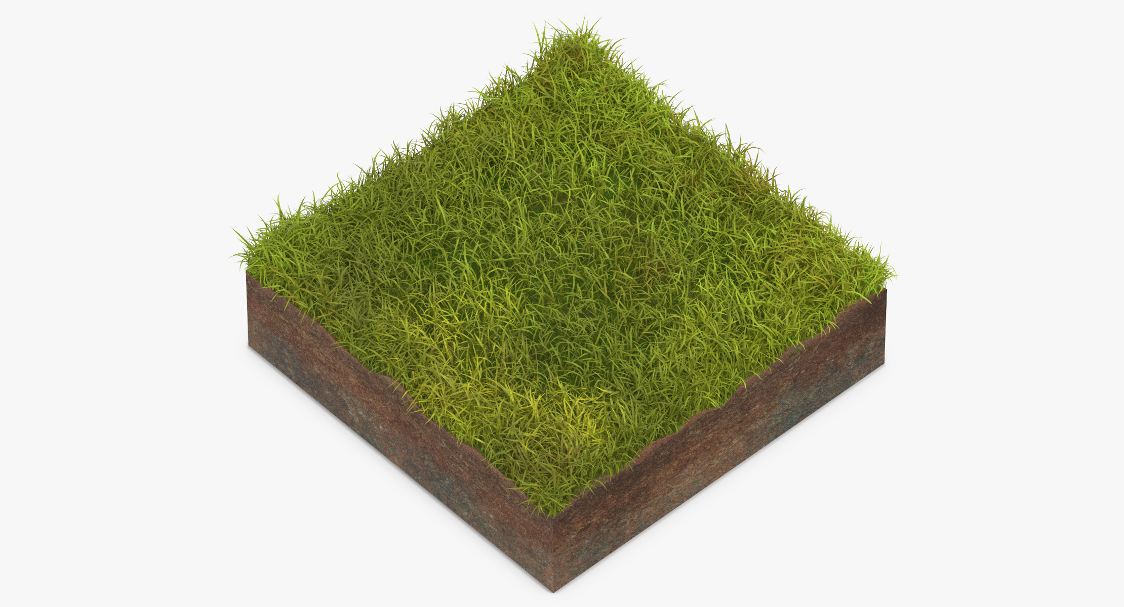 modelo 3d Grass Cross Secciones 03 - TurboSquid 1320699