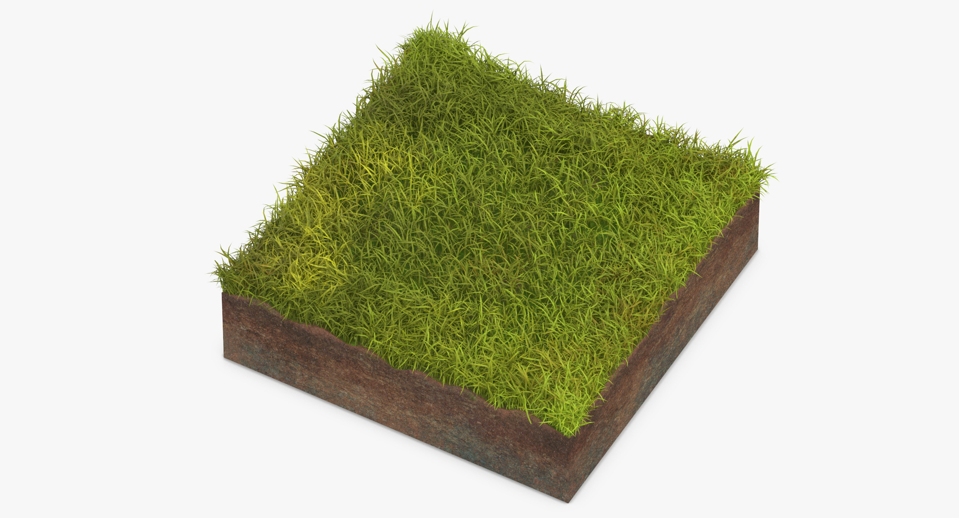 modelo 3d Grass Cross Secciones 03 - TurboSquid 1320699