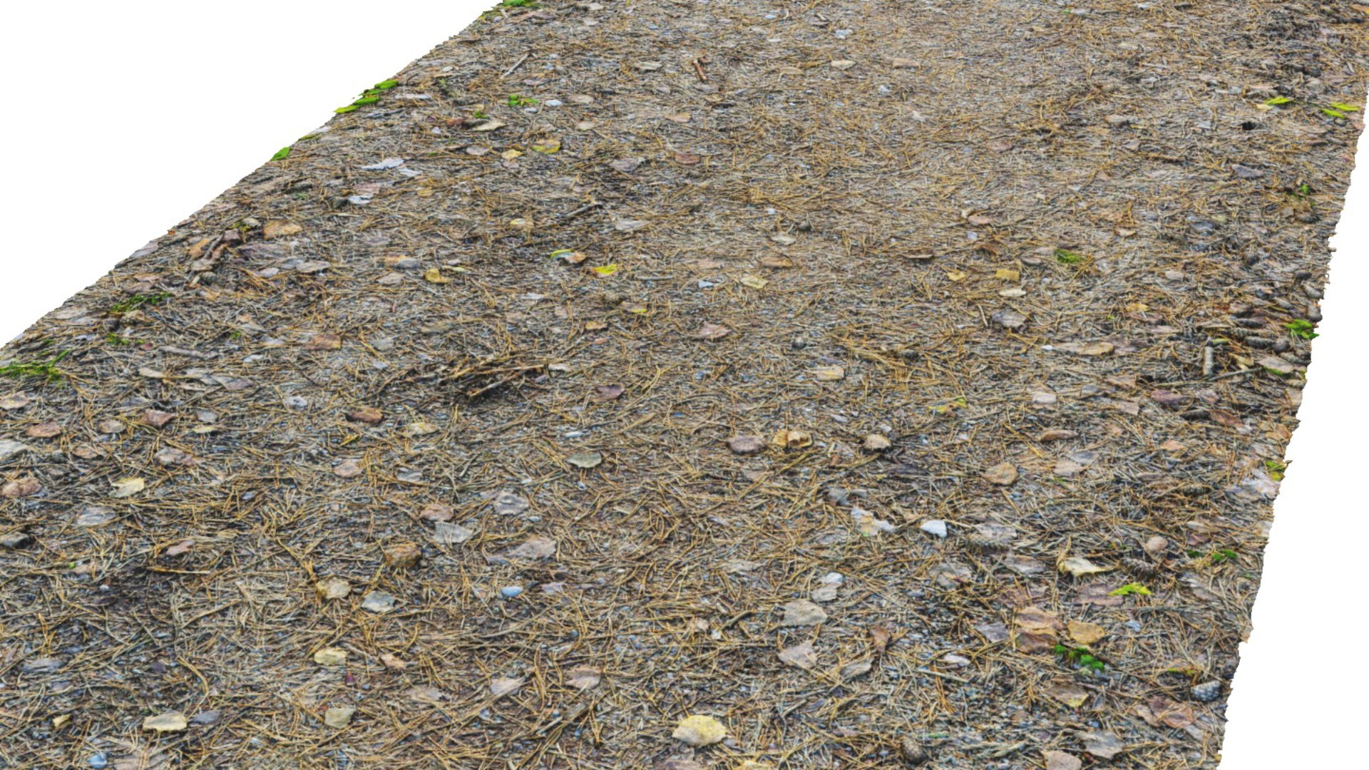 3D Coniferous Park Path 01 -10 Meters Model - TurboSquid 2460442
