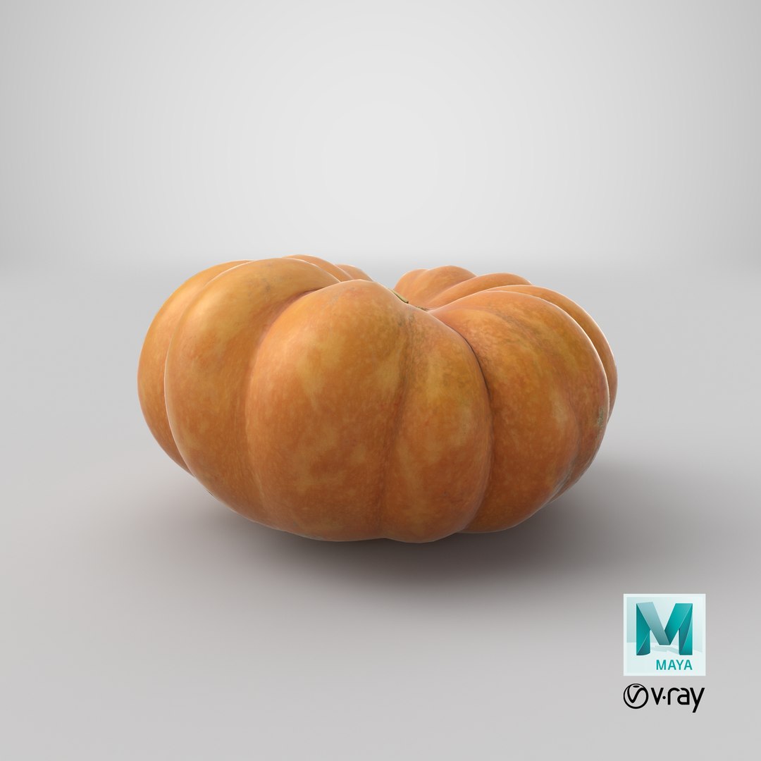 3D realistic pumpkin clean model - TurboSquid 1453568