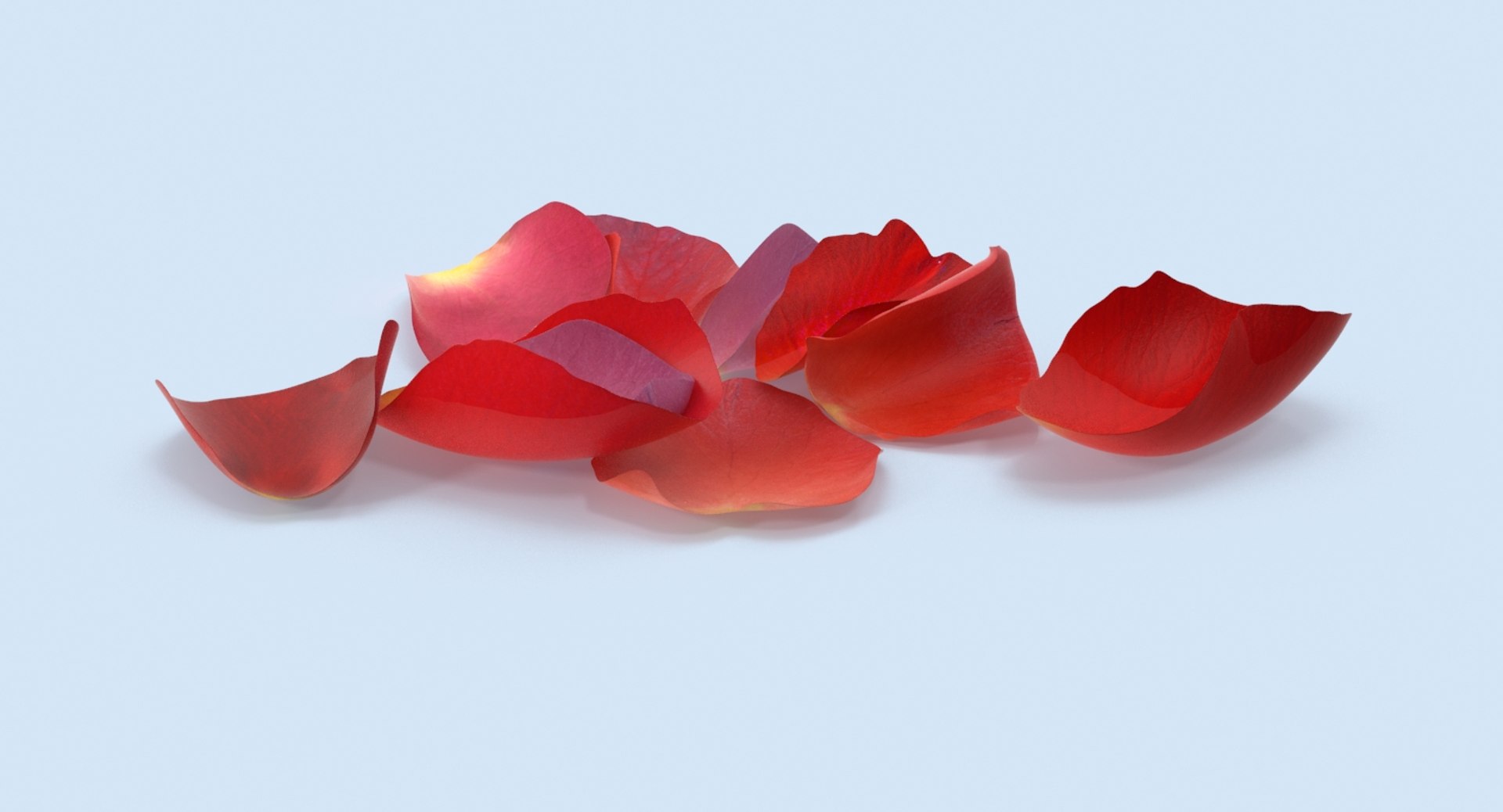 Rose Petals 3d Model