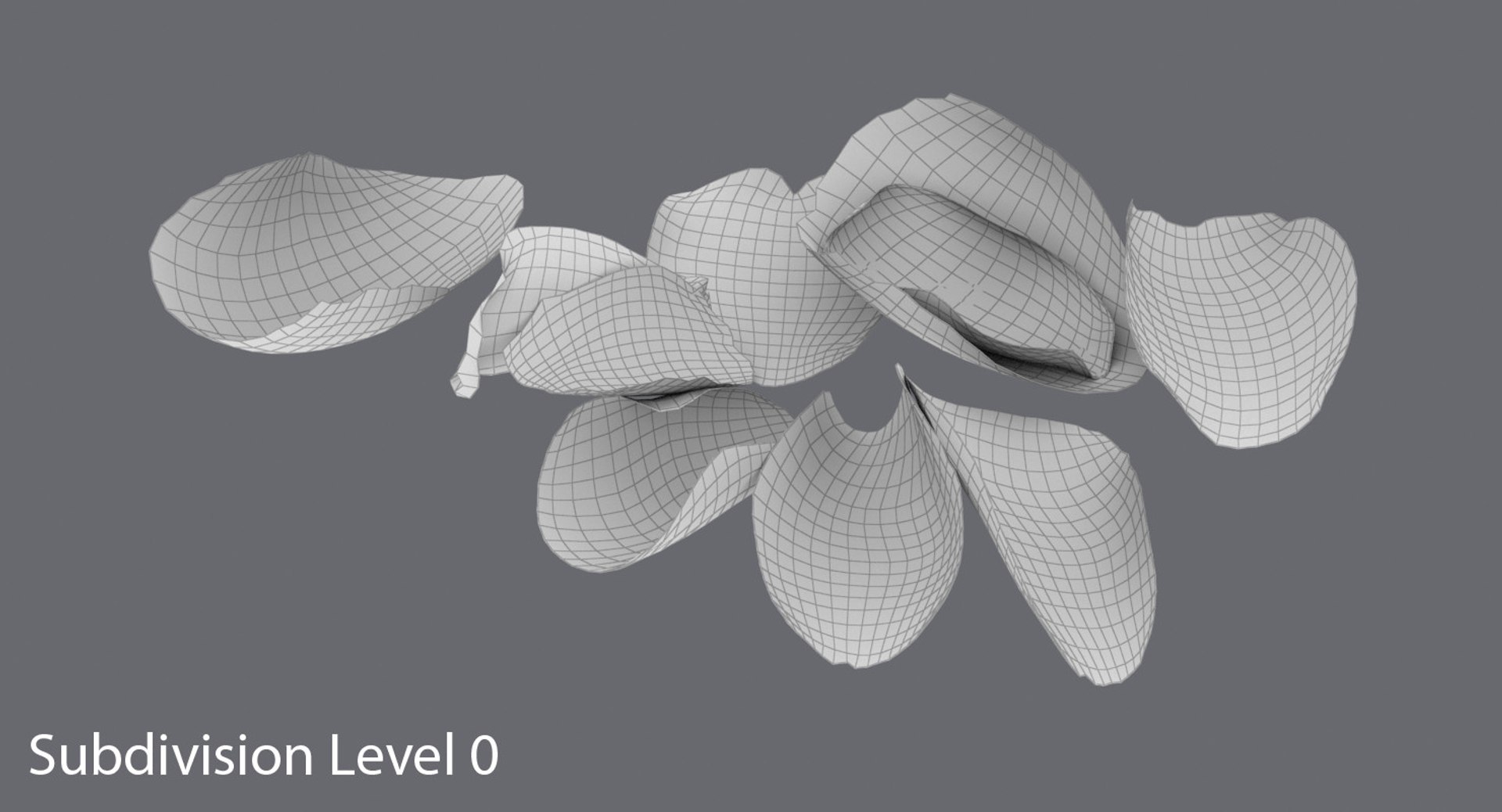 Rose Petals 3d Model