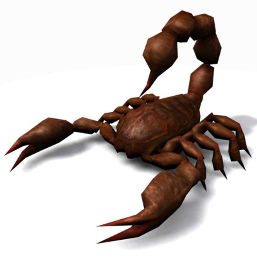 Scorpion Scorp Scorpio 3d Model