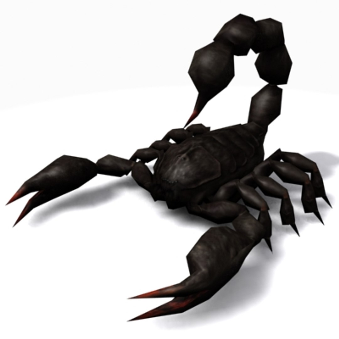 Scorpion Scorp Scorpio 3d Model