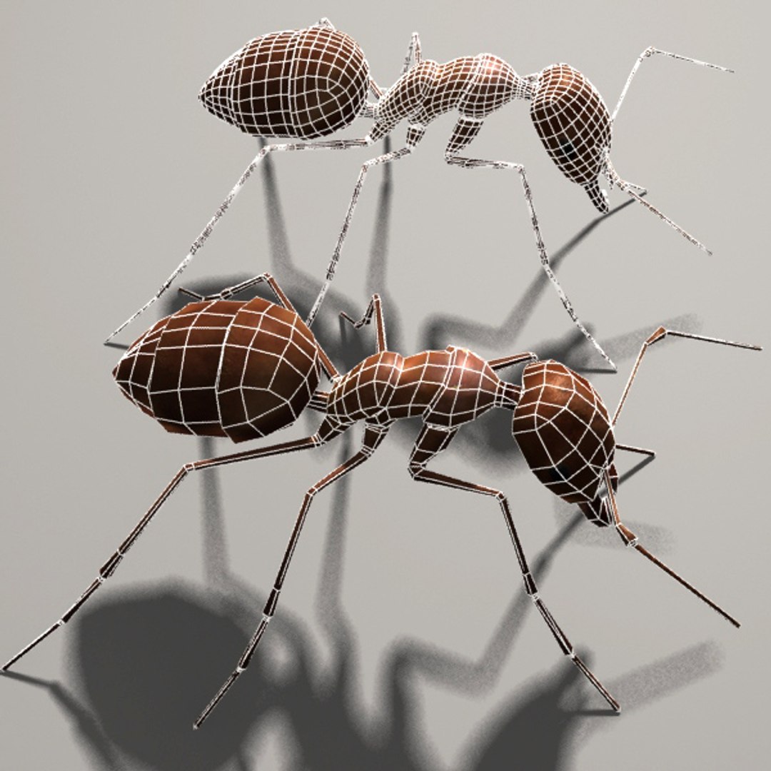 3ds Max Ant