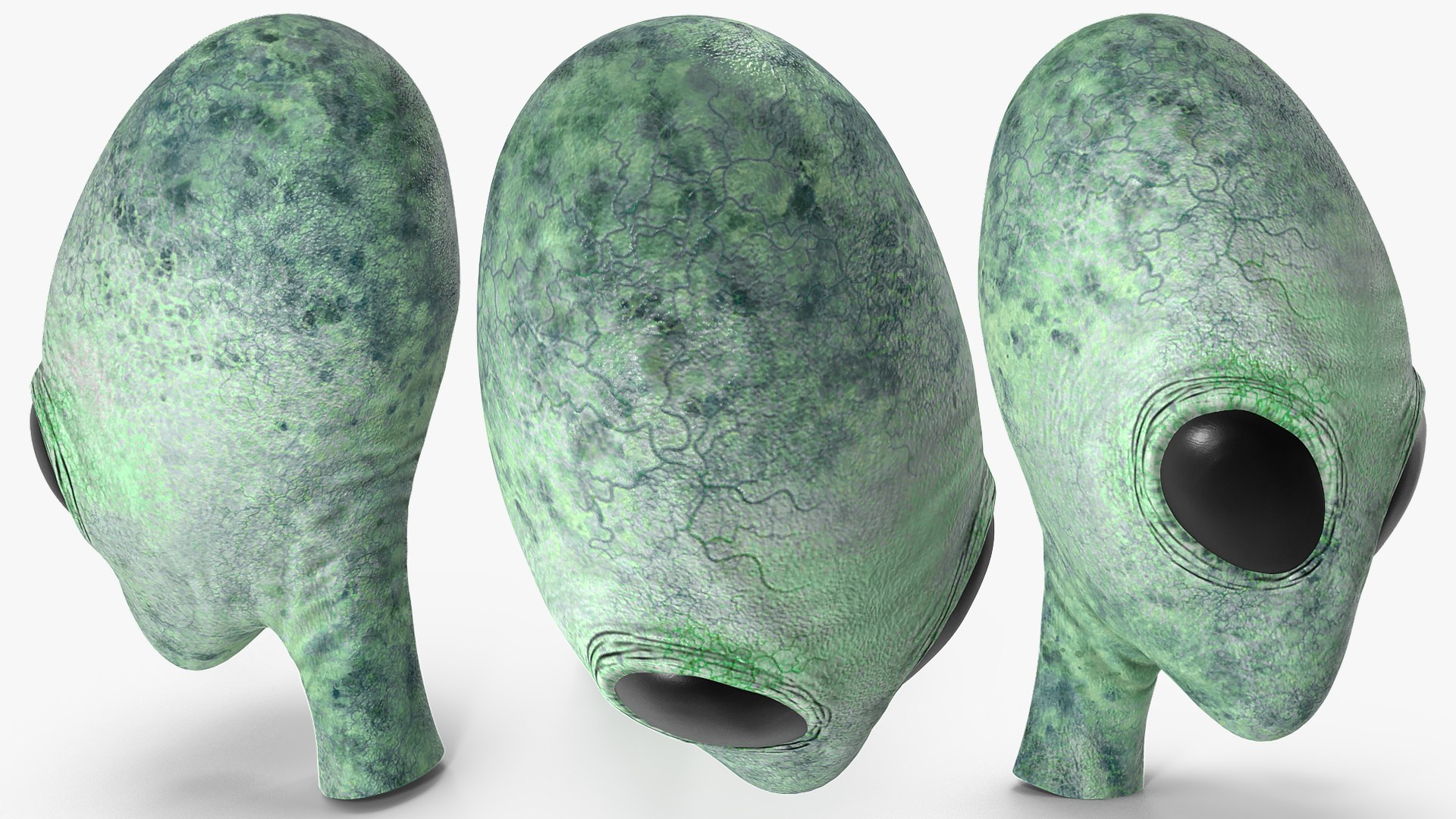 Green Alien Head 3D Model - TurboSquid 1628925