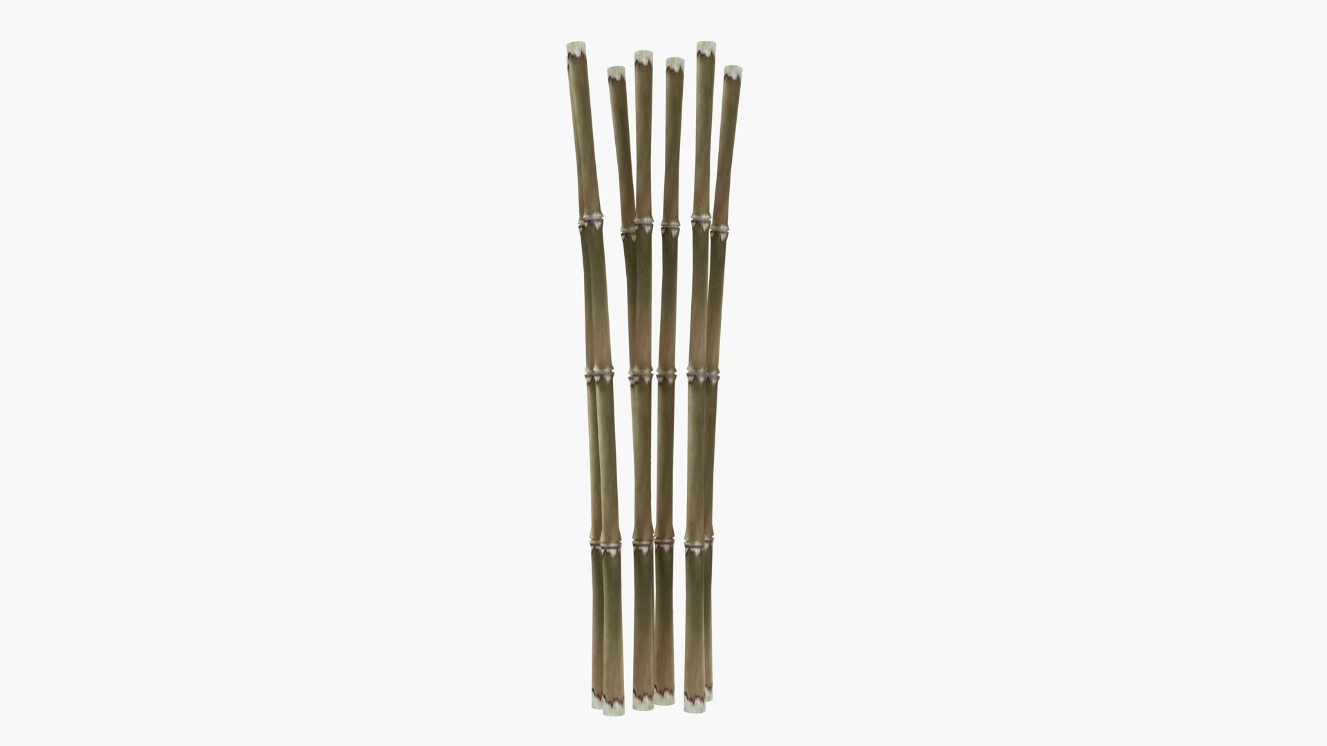 3d Model Dried Bamboo Cane