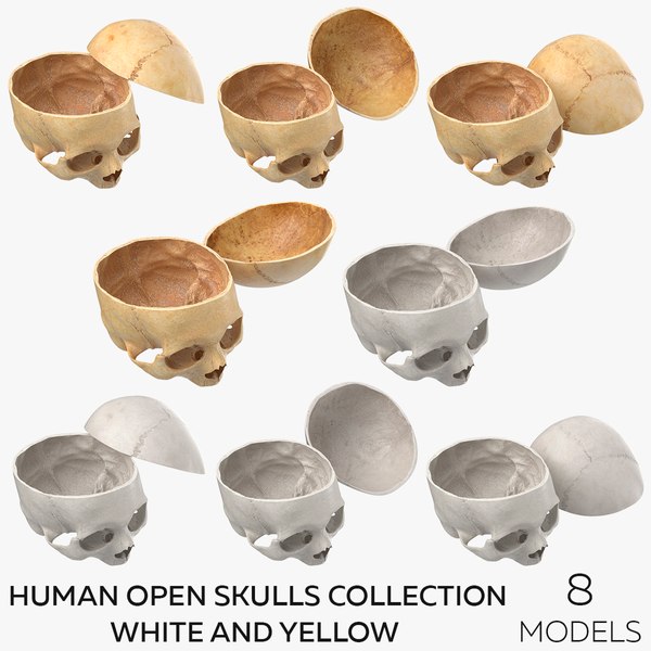 Skull 3D Models for Download | TurboSquid