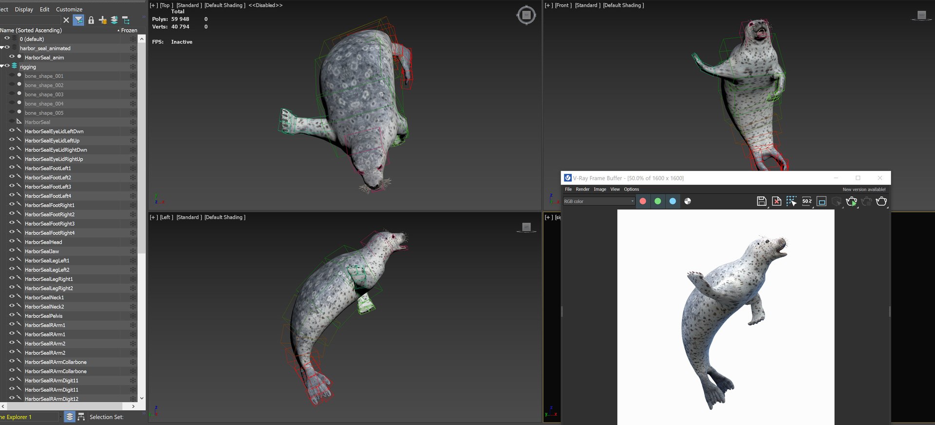3D Harbor Seal Animated Model - TurboSquid 2148958