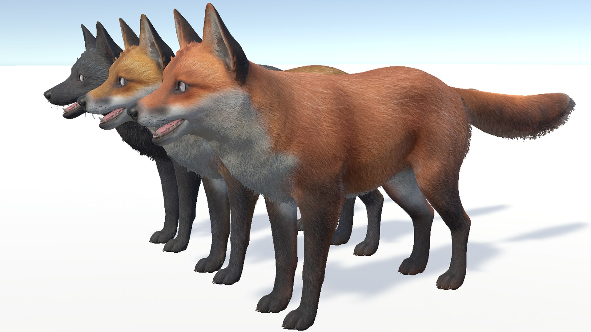 3D Fox - Male Model - TurboSquid 2107378