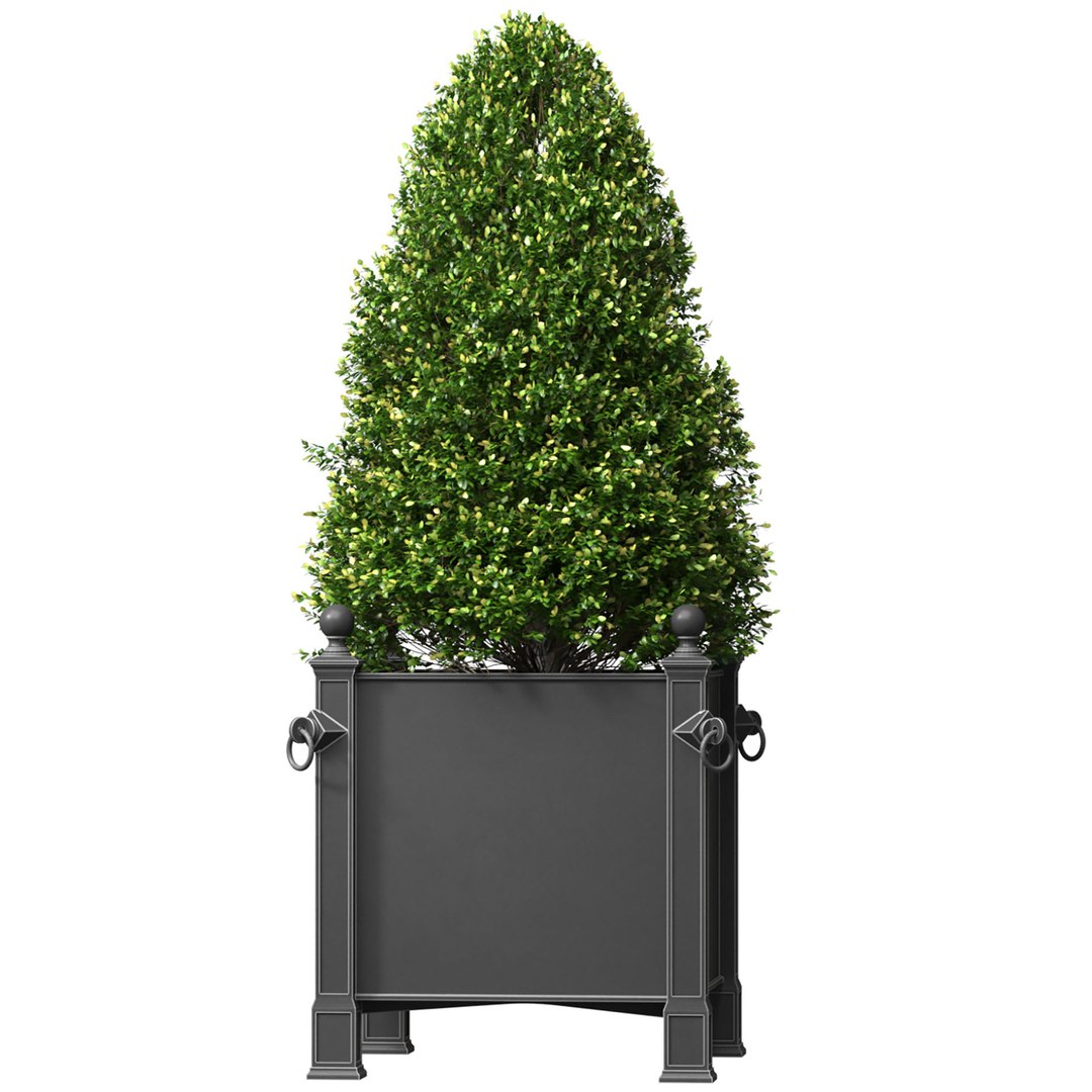 3D Modern Boxwood In The Garden Planter RH ArtDeco Model - TurboSquid ...