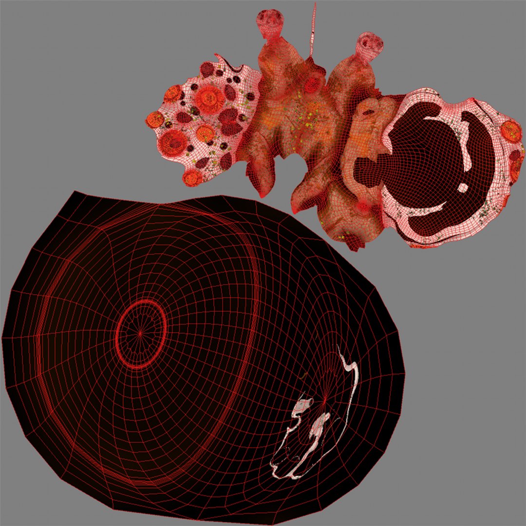 3D Chicken Model - TurboSquid 1302089