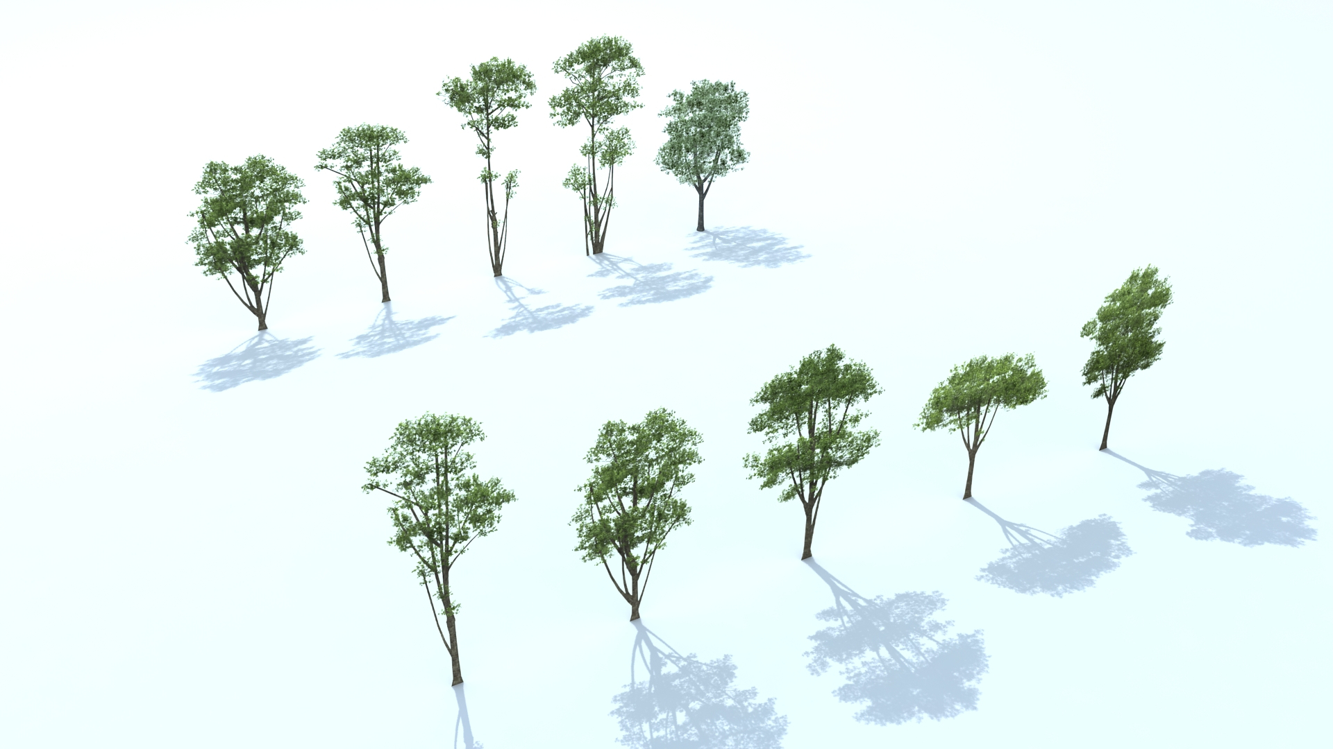 3d Tree Branches Model
