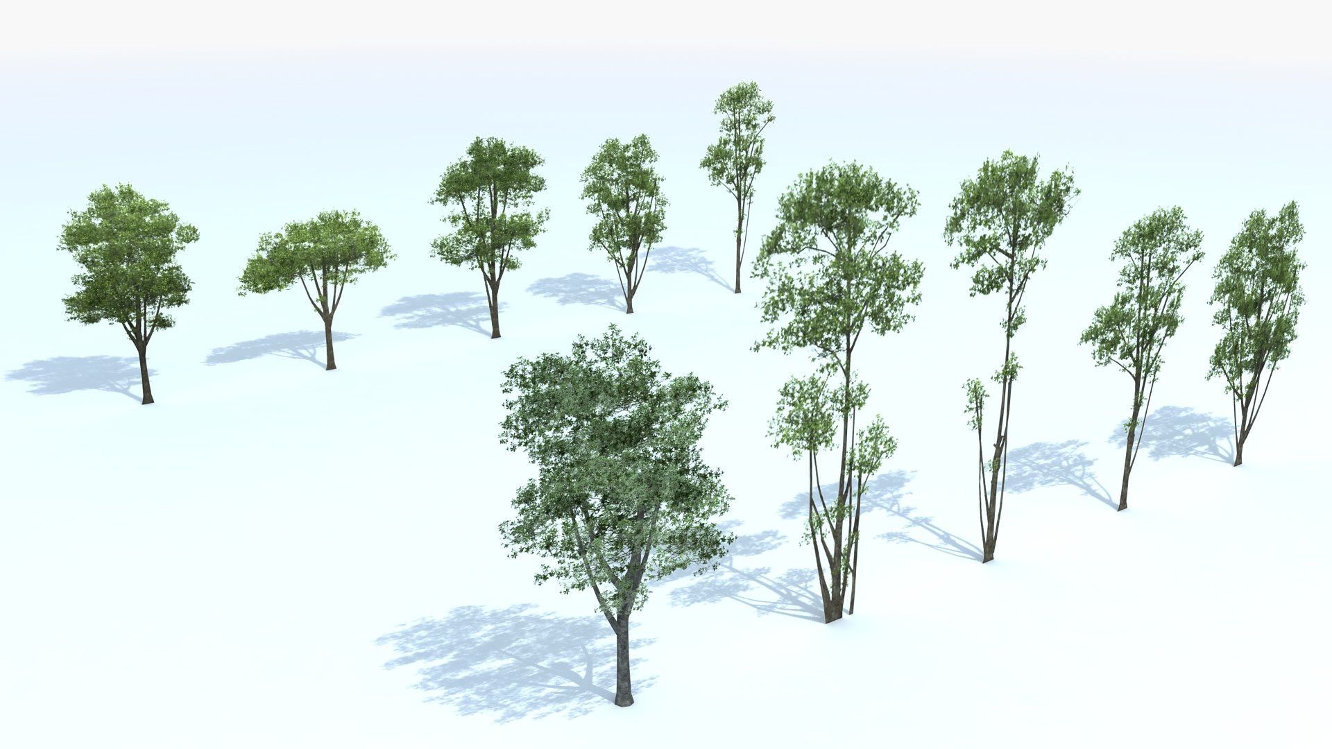 3d Tree Branches Model