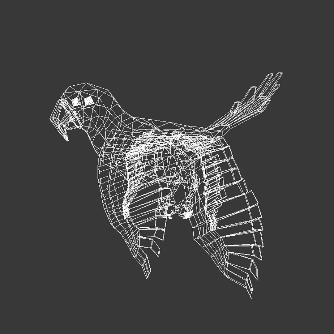 3d Model Parrot Animation Flying
