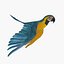 3d Model Parrot Animation Flying