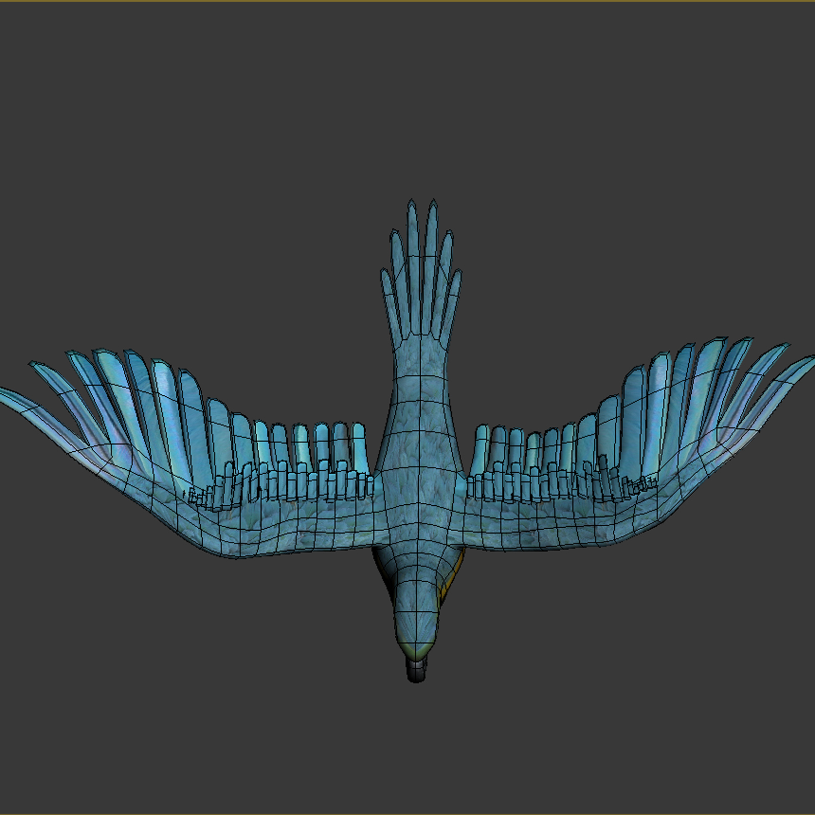 3d model parrot animation flying