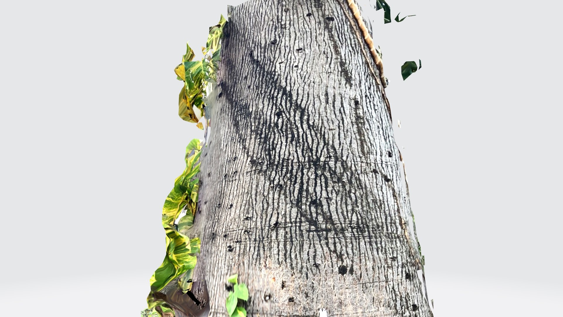 Ceiba Altar Model - TurboSquid 1967885