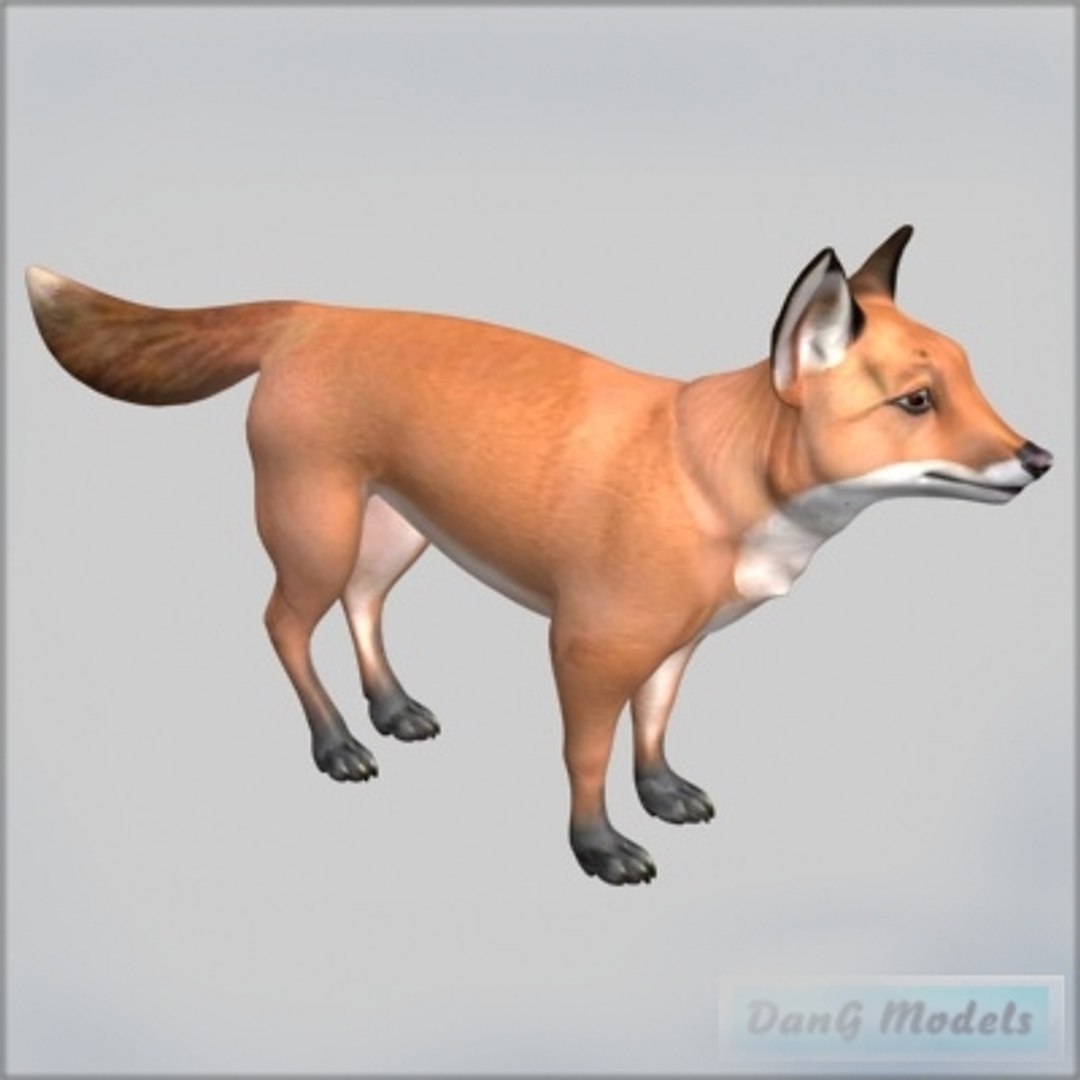 3d Max Fox
