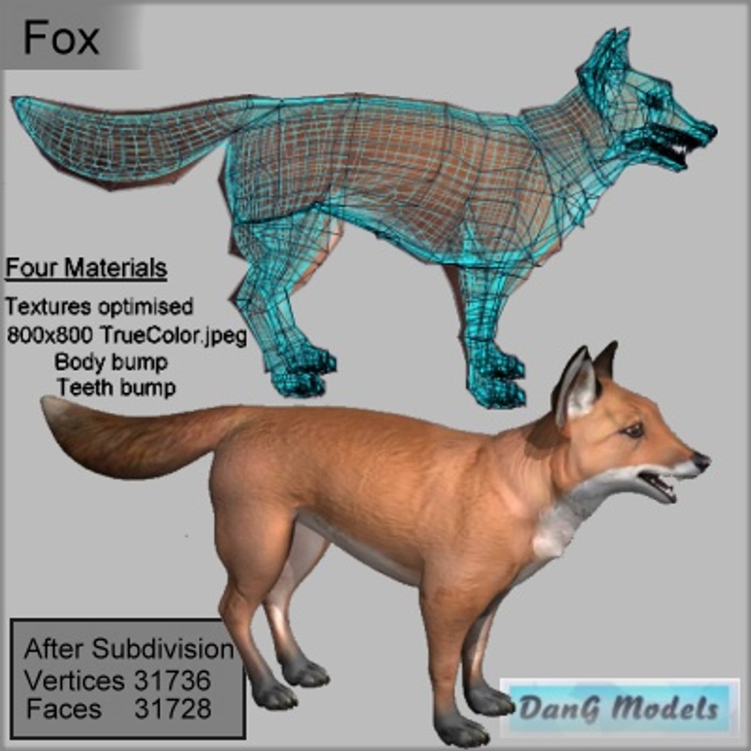 3d Max Fox