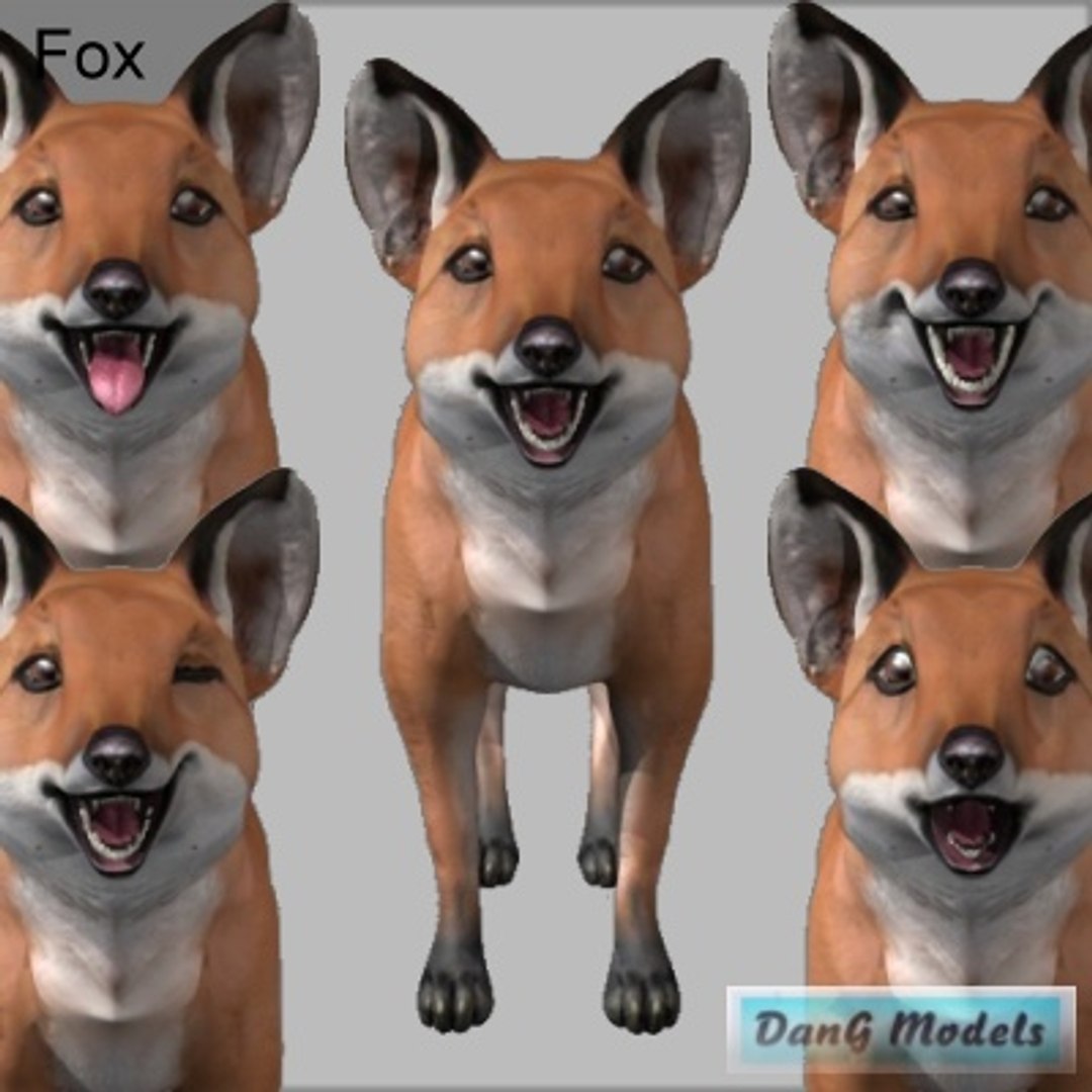3d Max Fox