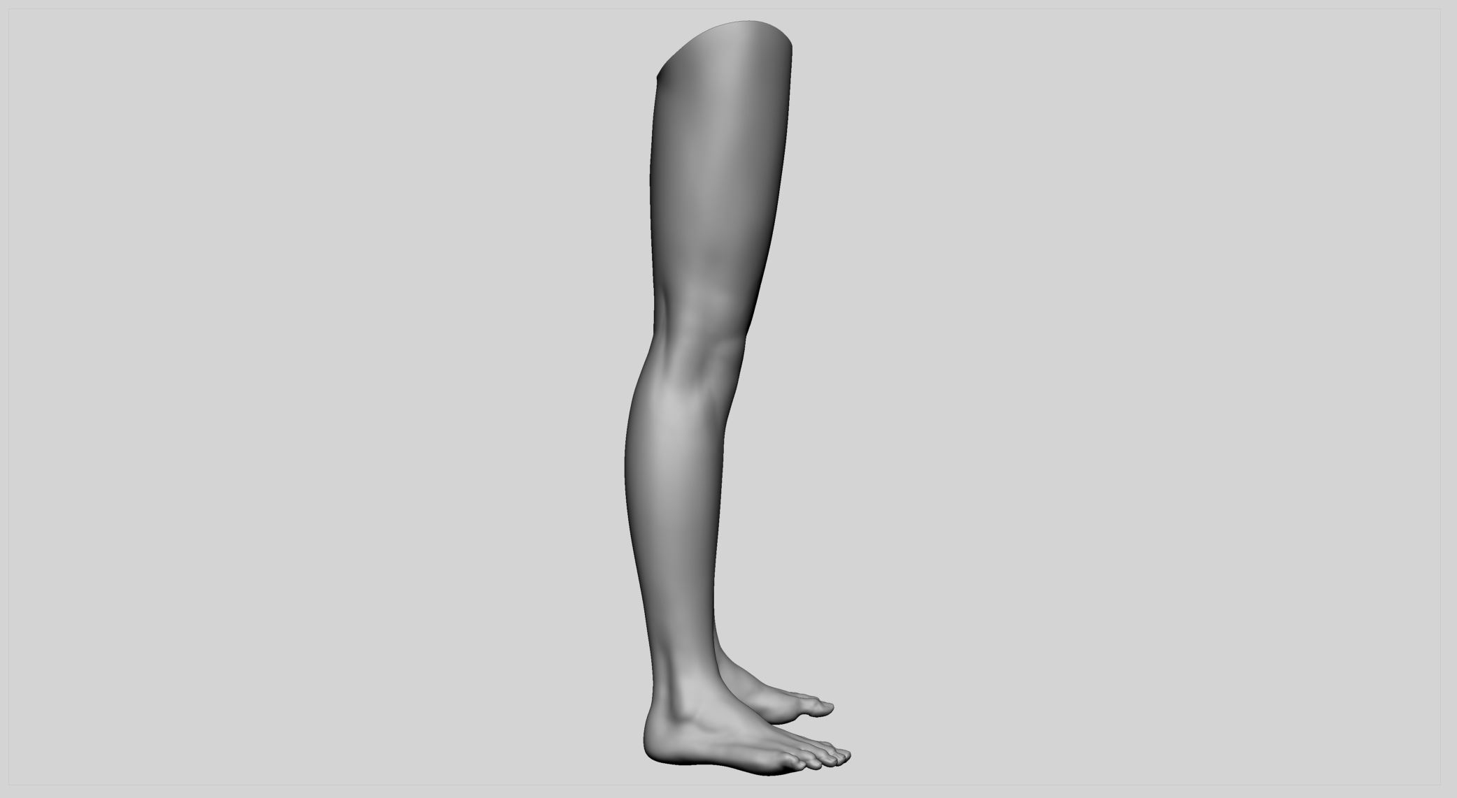 Leg female 3D - TurboSquid 1685221