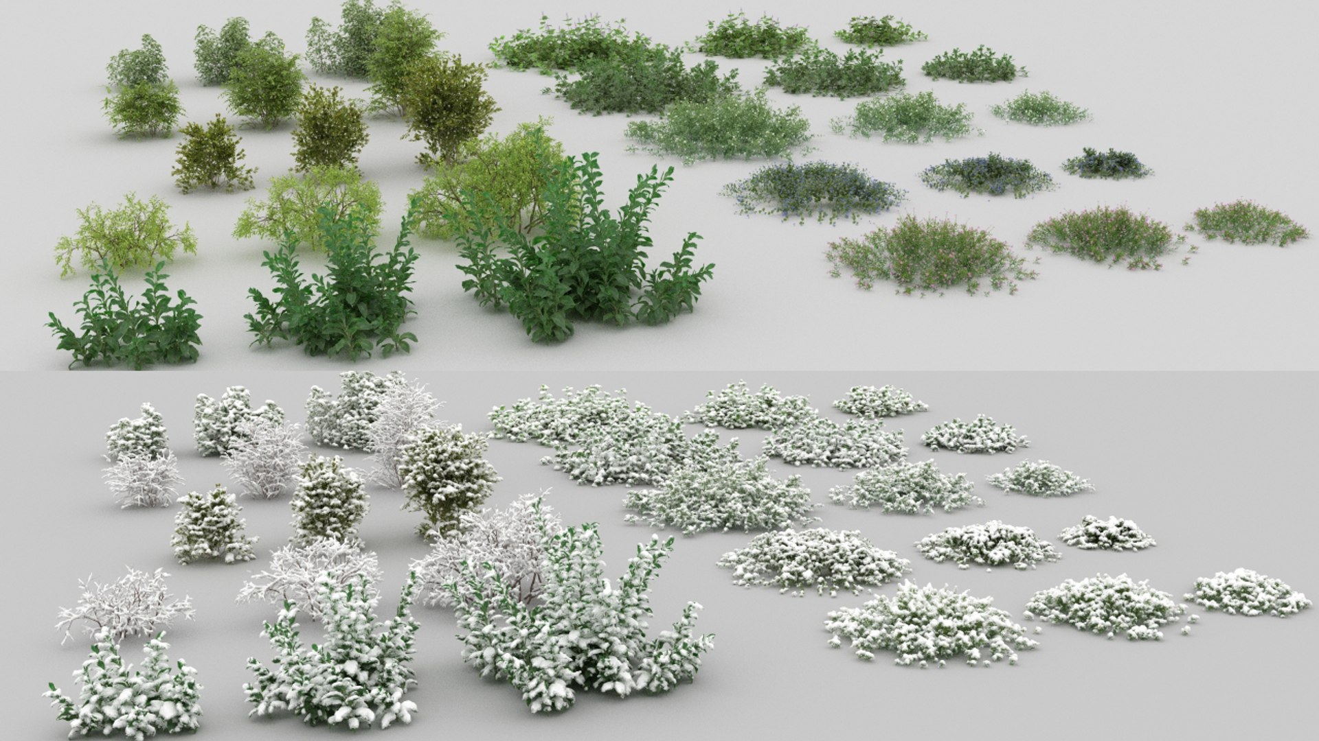 3D 30 wild bushes - TurboSquid 1269994