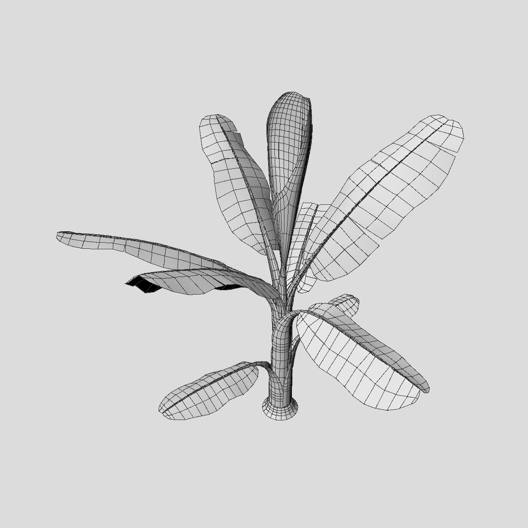 3D banana tree model - TurboSquid 1259497