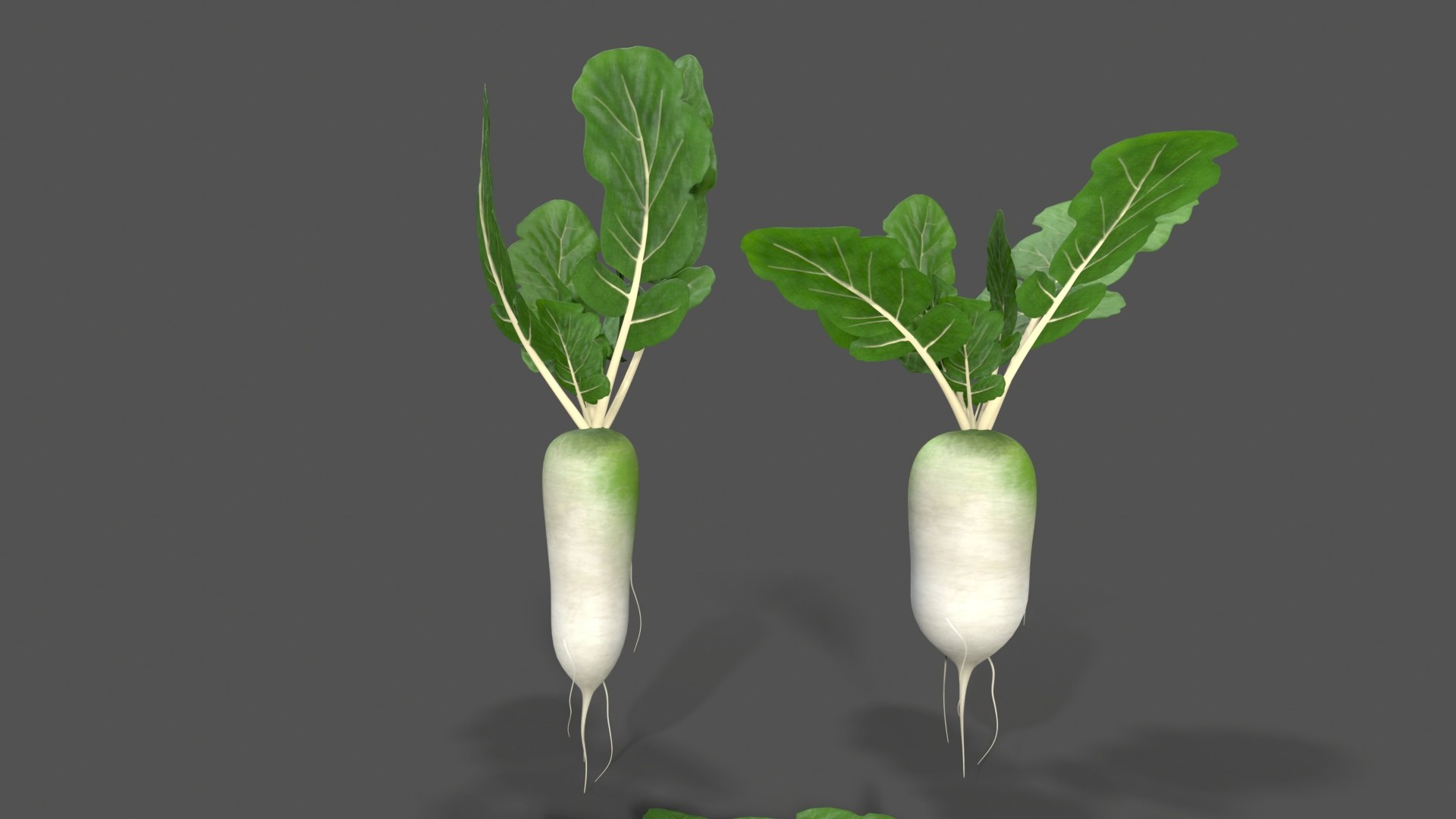 Purple Top White Globe Turnips 3D Model - TurboSquid 2352504