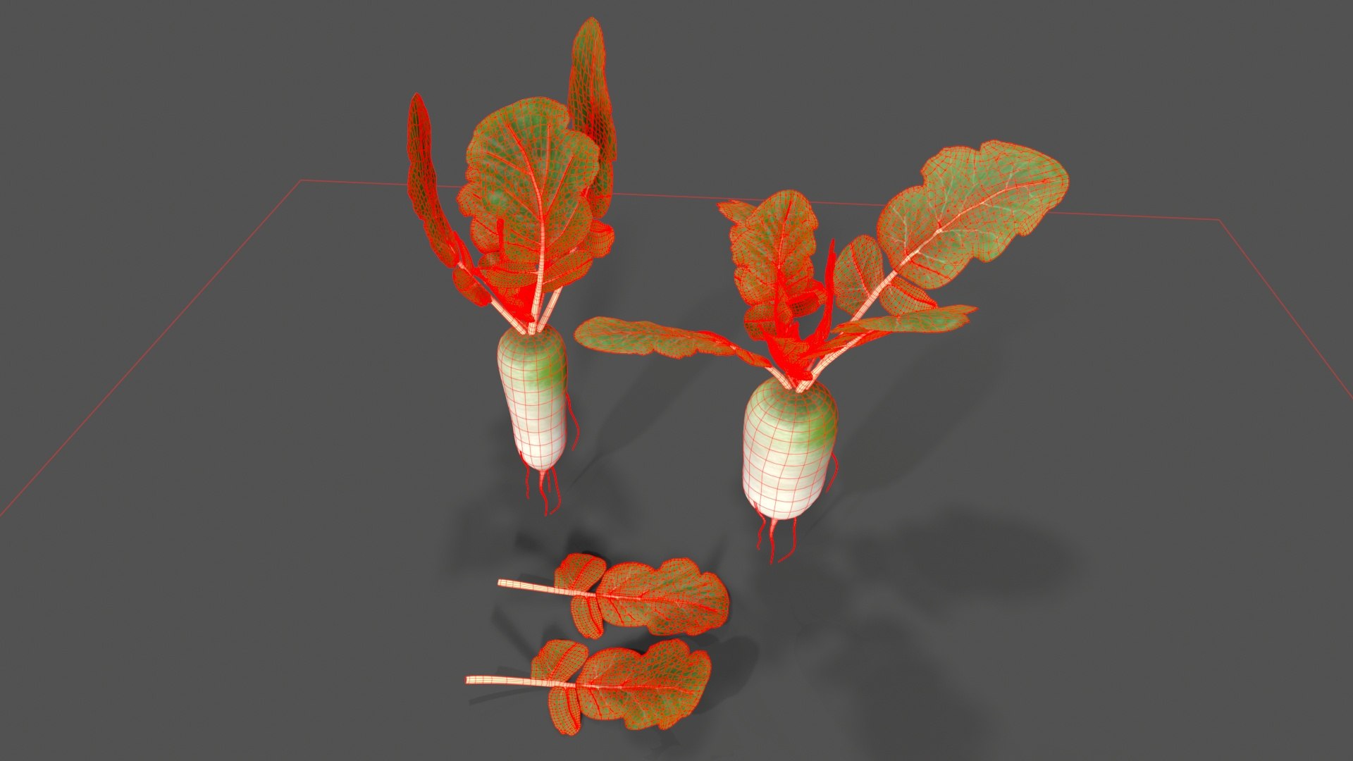 Purple Top White Globe Turnips 3D Model - TurboSquid 2352504