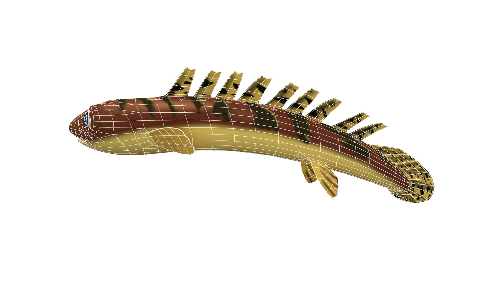 3D Barred Bichir Fish Toon Model - TurboSquid 1586331