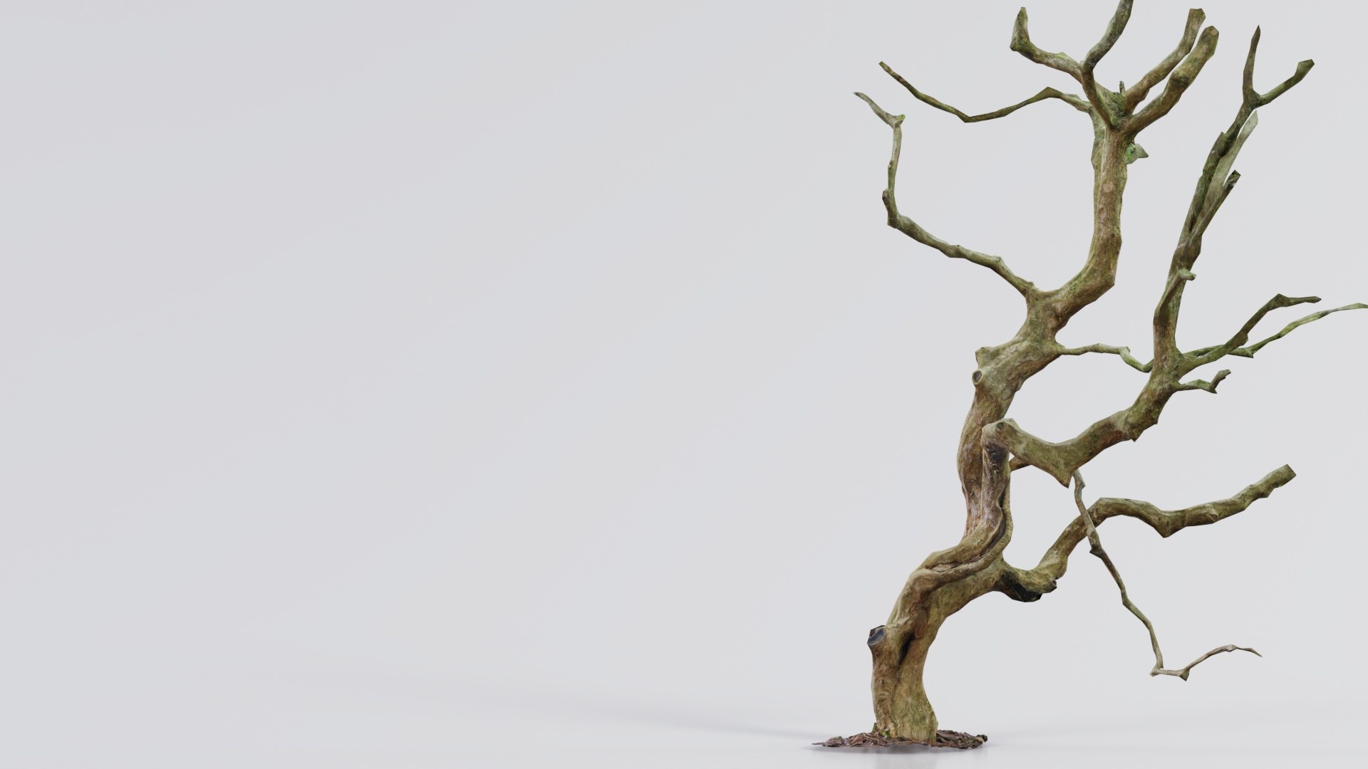 Wiggle Tree Branches Remastered 3D Model - TurboSquid 2363185