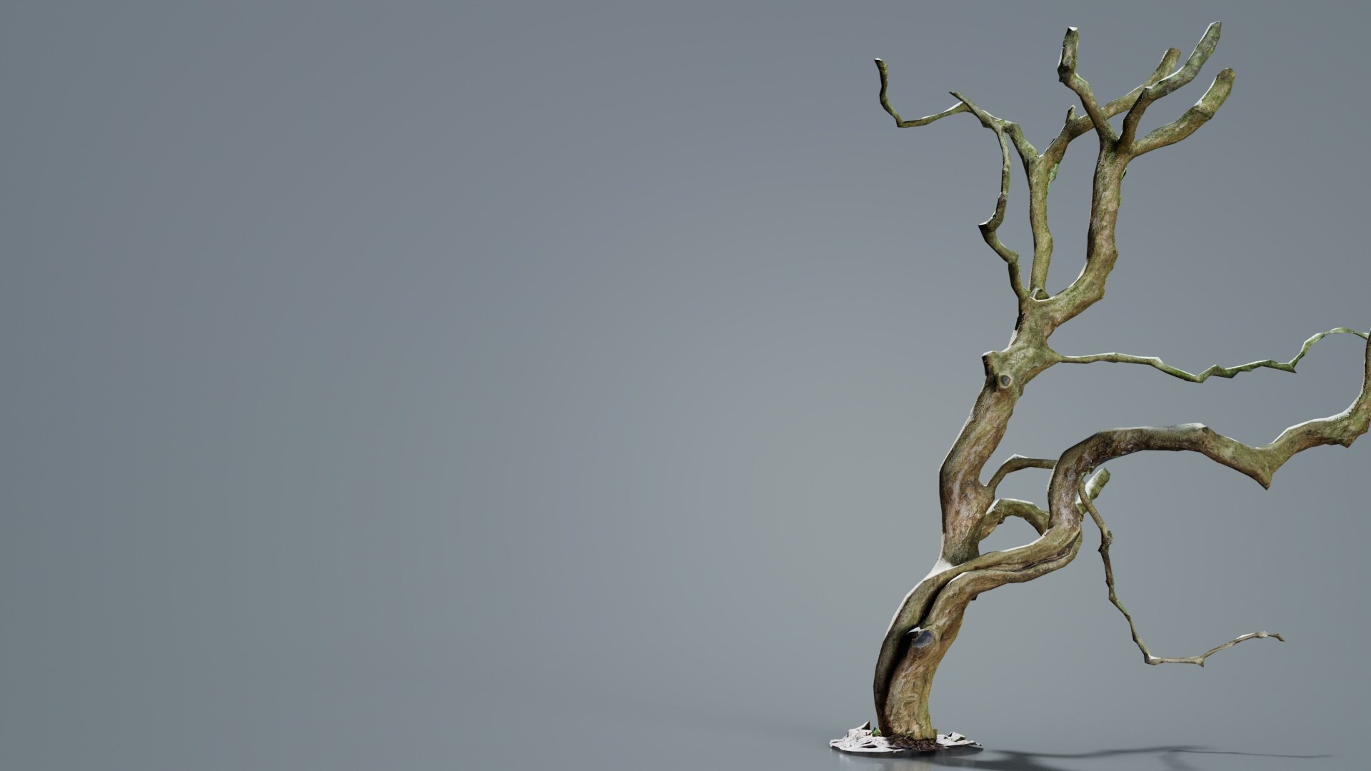 Wiggle Tree Branches Remastered 3D Model - TurboSquid 2363185