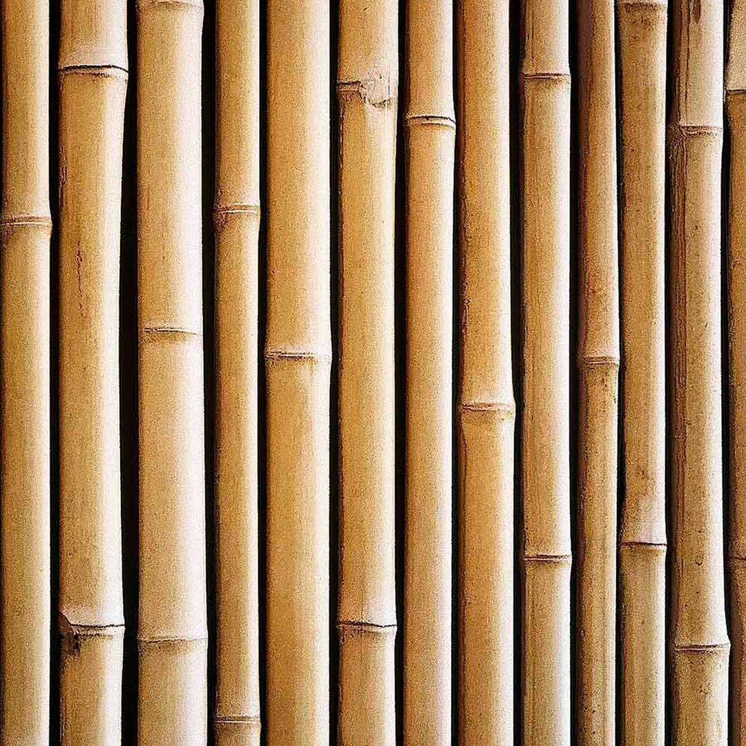3D Model Bamboo Wall Pattern - TurboSquid 1476452