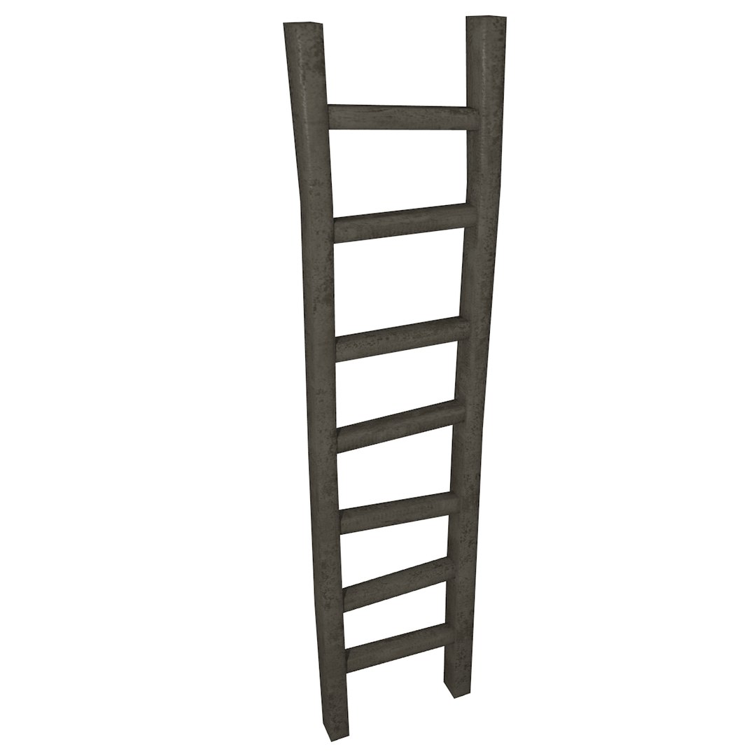 Ladder Wood 3d Model