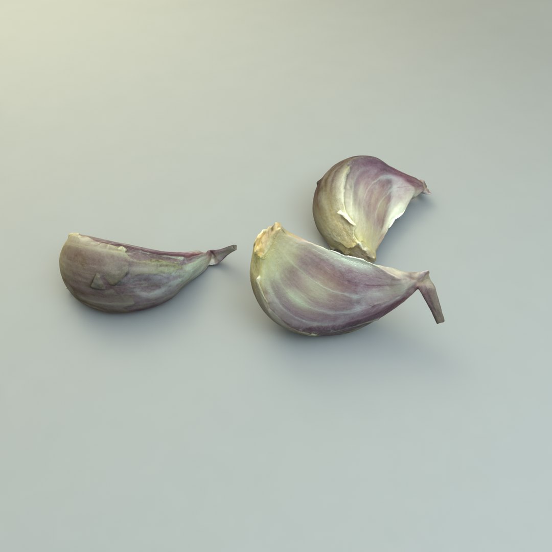 3d Model Clove Garlic