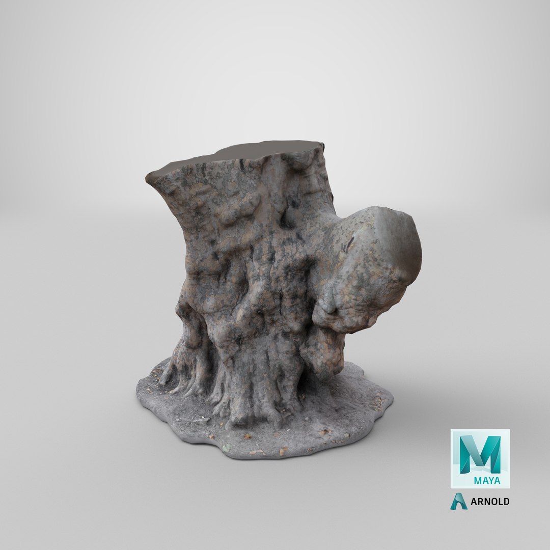 3D model old tree trunk - TurboSquid 1606620