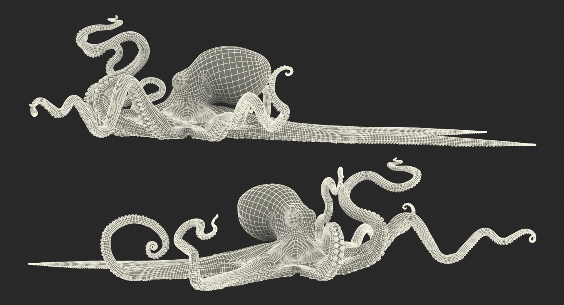 3D Large Blue Octopus - TurboSquid 1151646