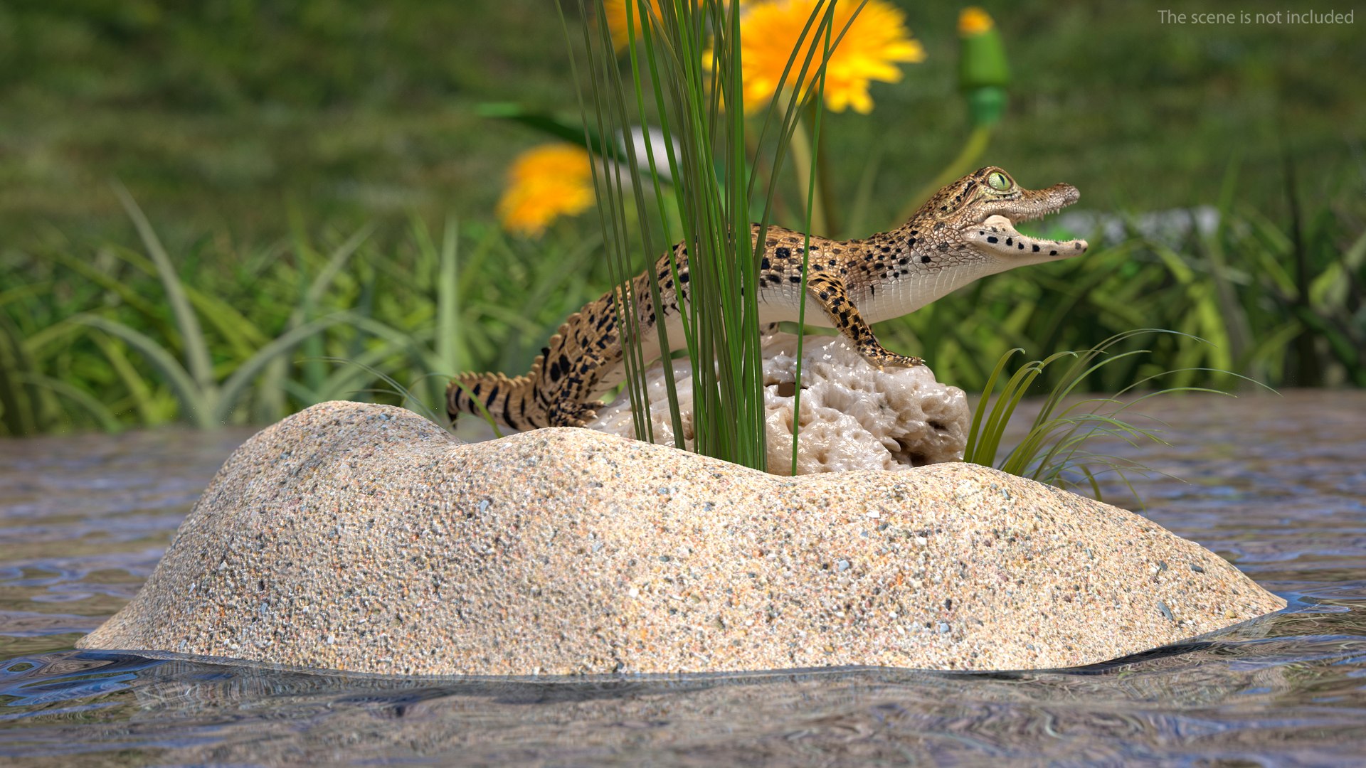 3D Baby Crocodile Natural Environment Model - TurboSquid 1891310