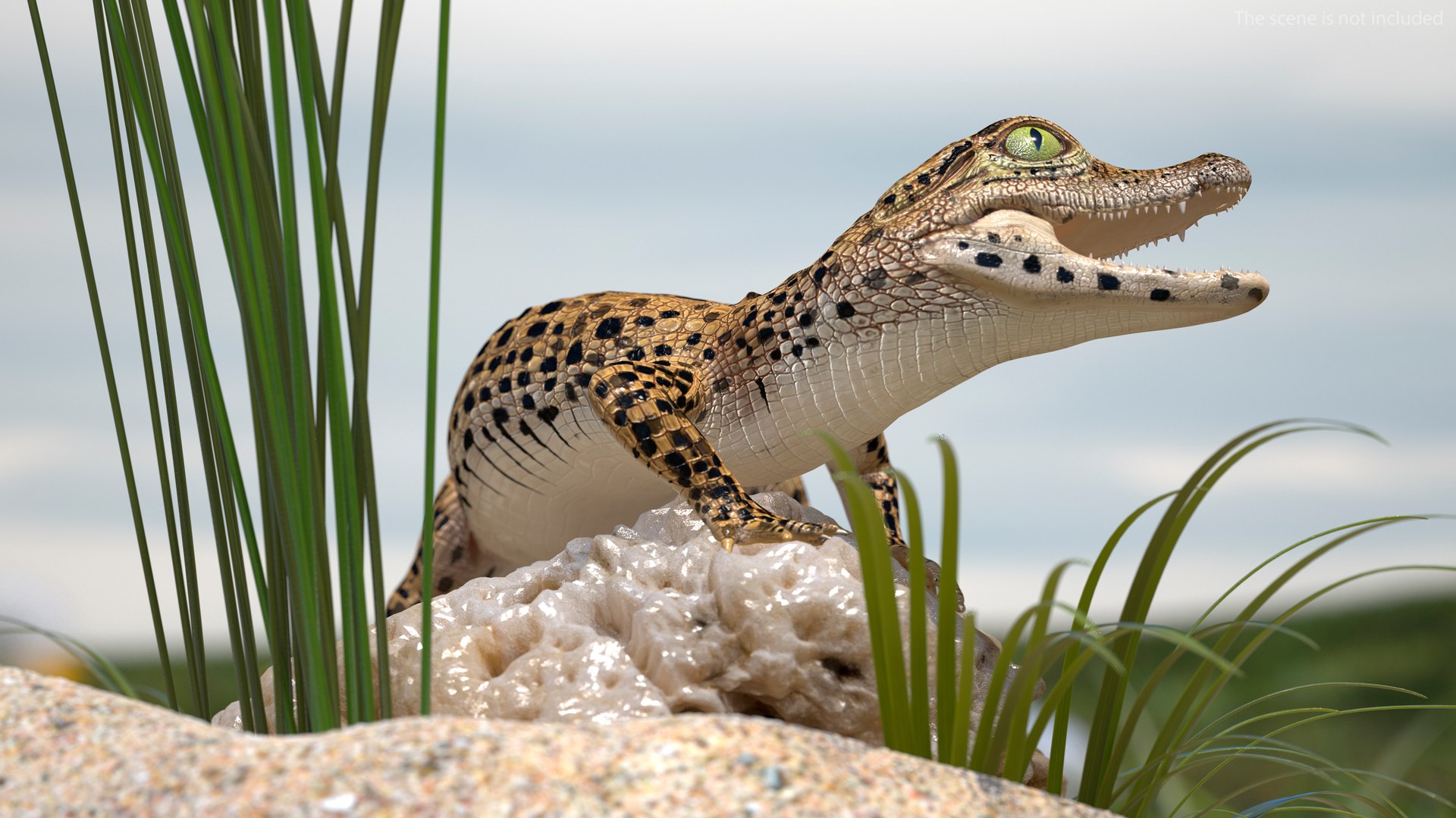 3D Baby Crocodile Natural Environment Model - TurboSquid 1891310