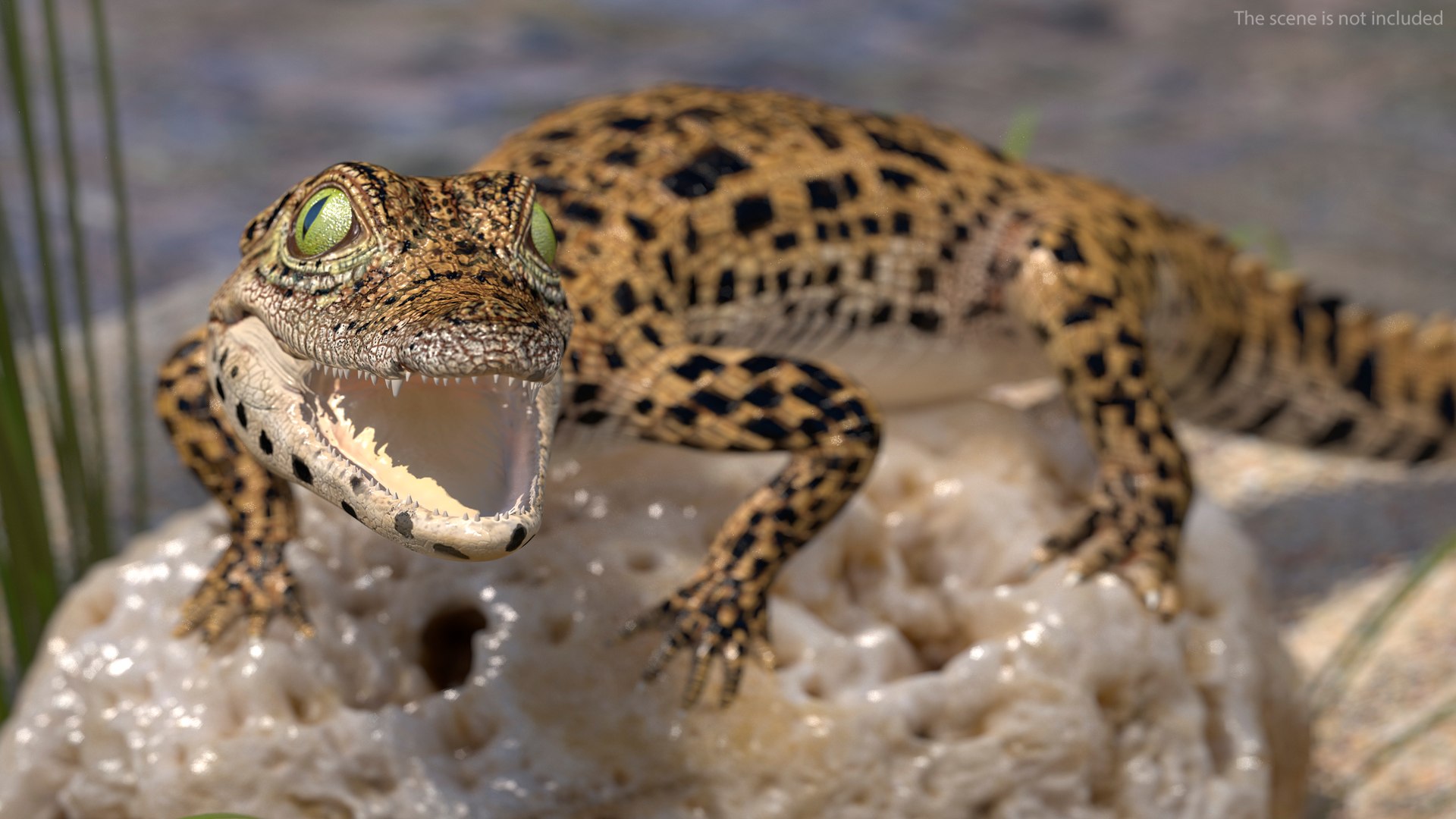 3D Baby Crocodile Natural Environment Model - TurboSquid 1891310