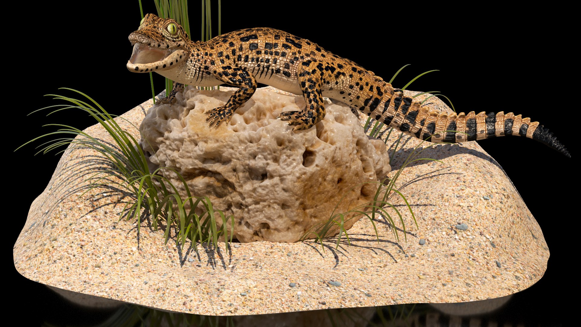 3D Baby Crocodile Natural Environment Model - TurboSquid 1891310