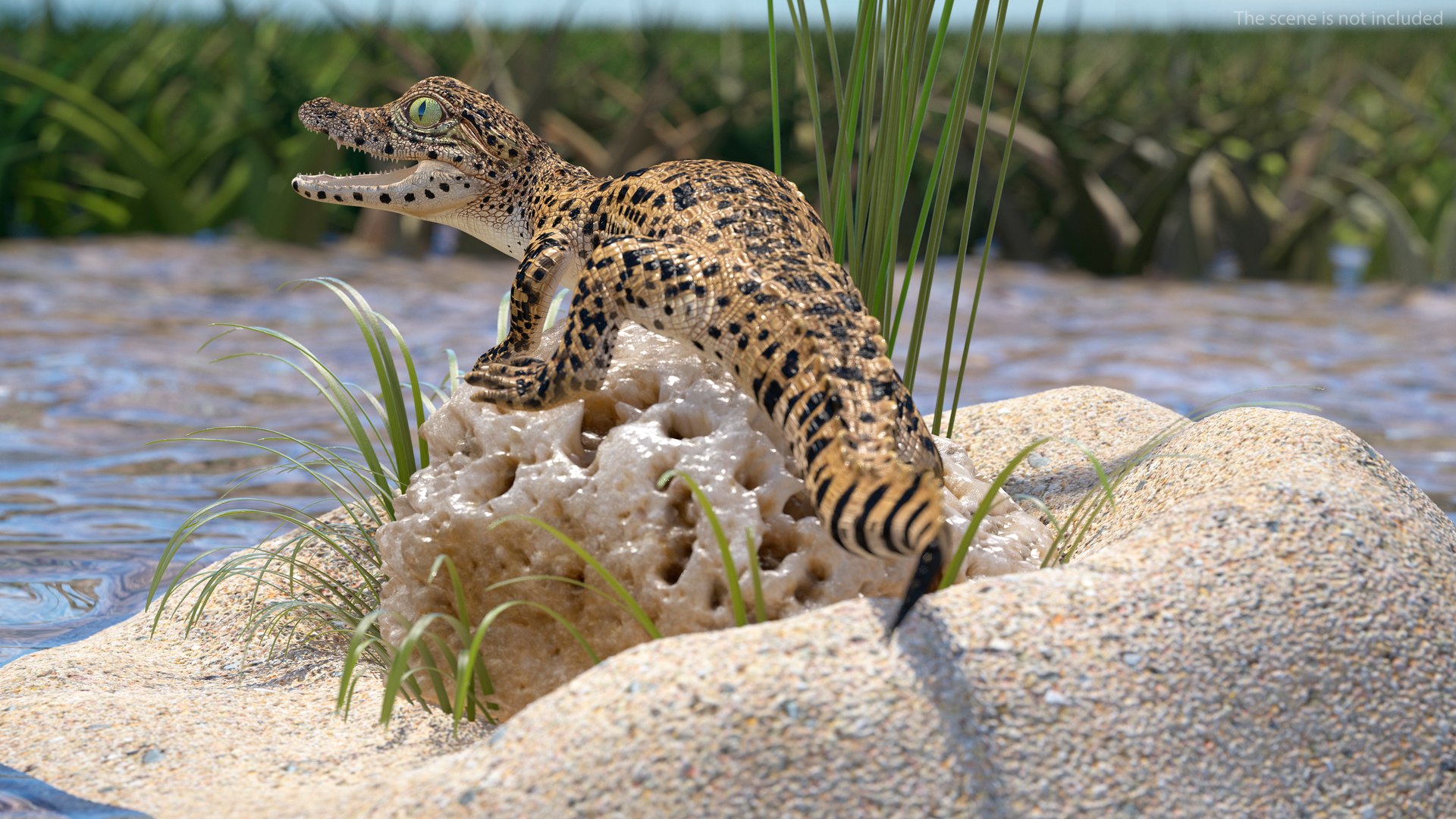 3D Baby Crocodile Natural Environment Model - TurboSquid 1891310