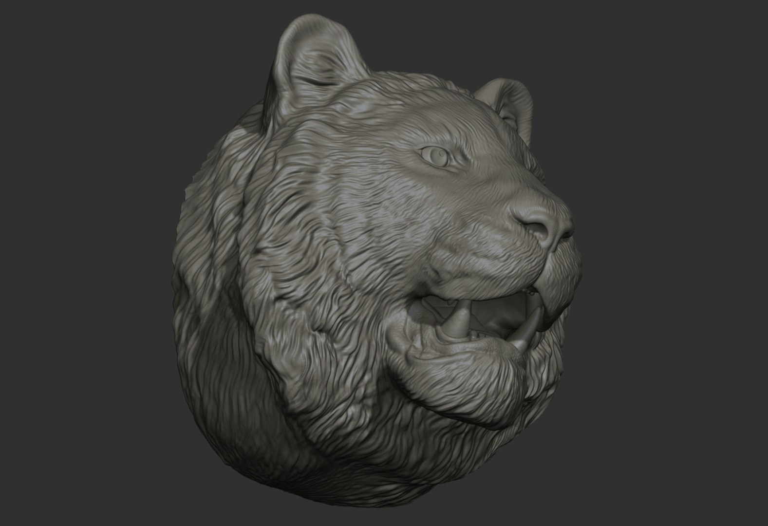 Tiger Head 3D Model - TurboSquid 1746517