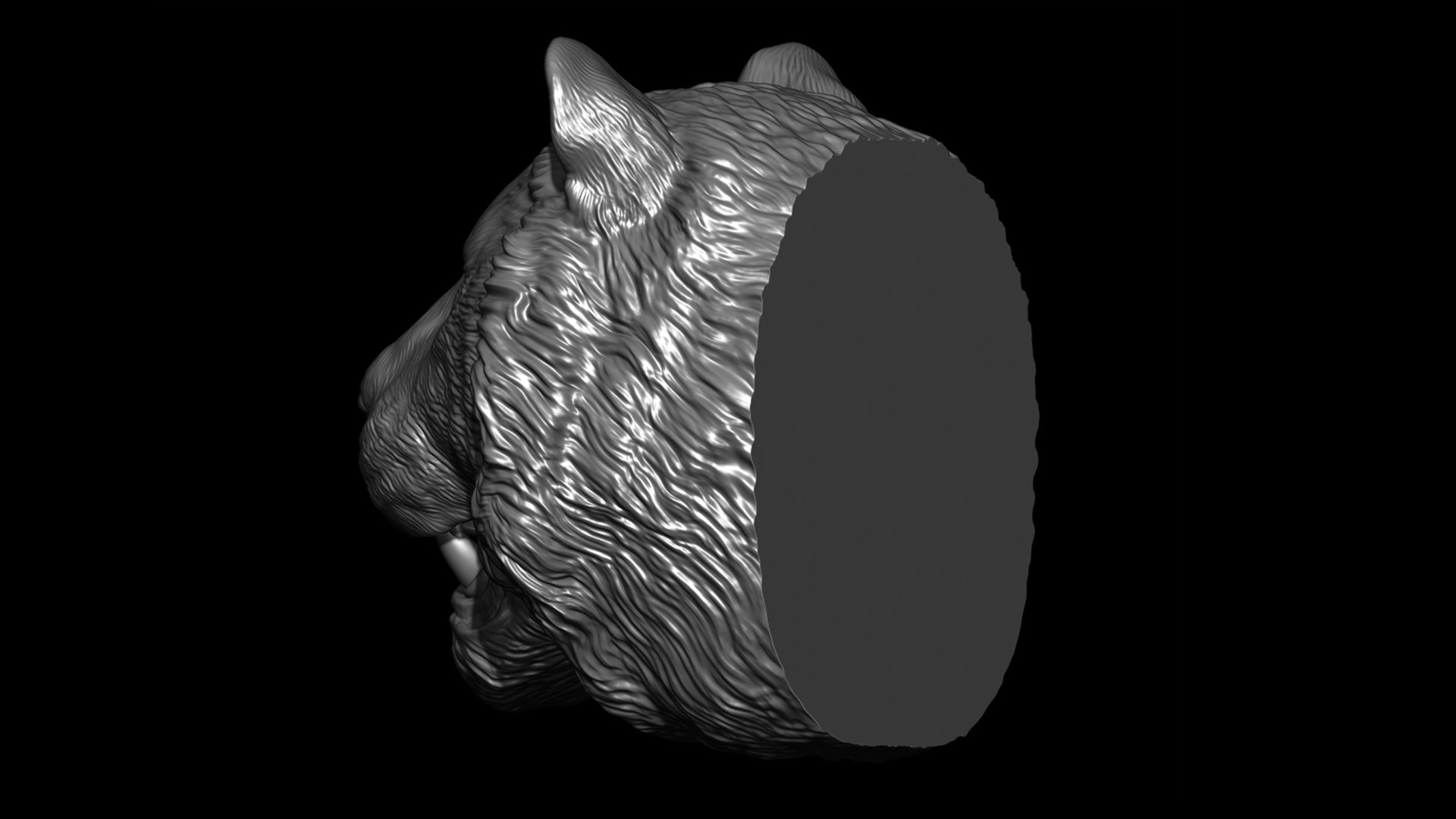 Tiger Head 3D model - TurboSquid 1746517