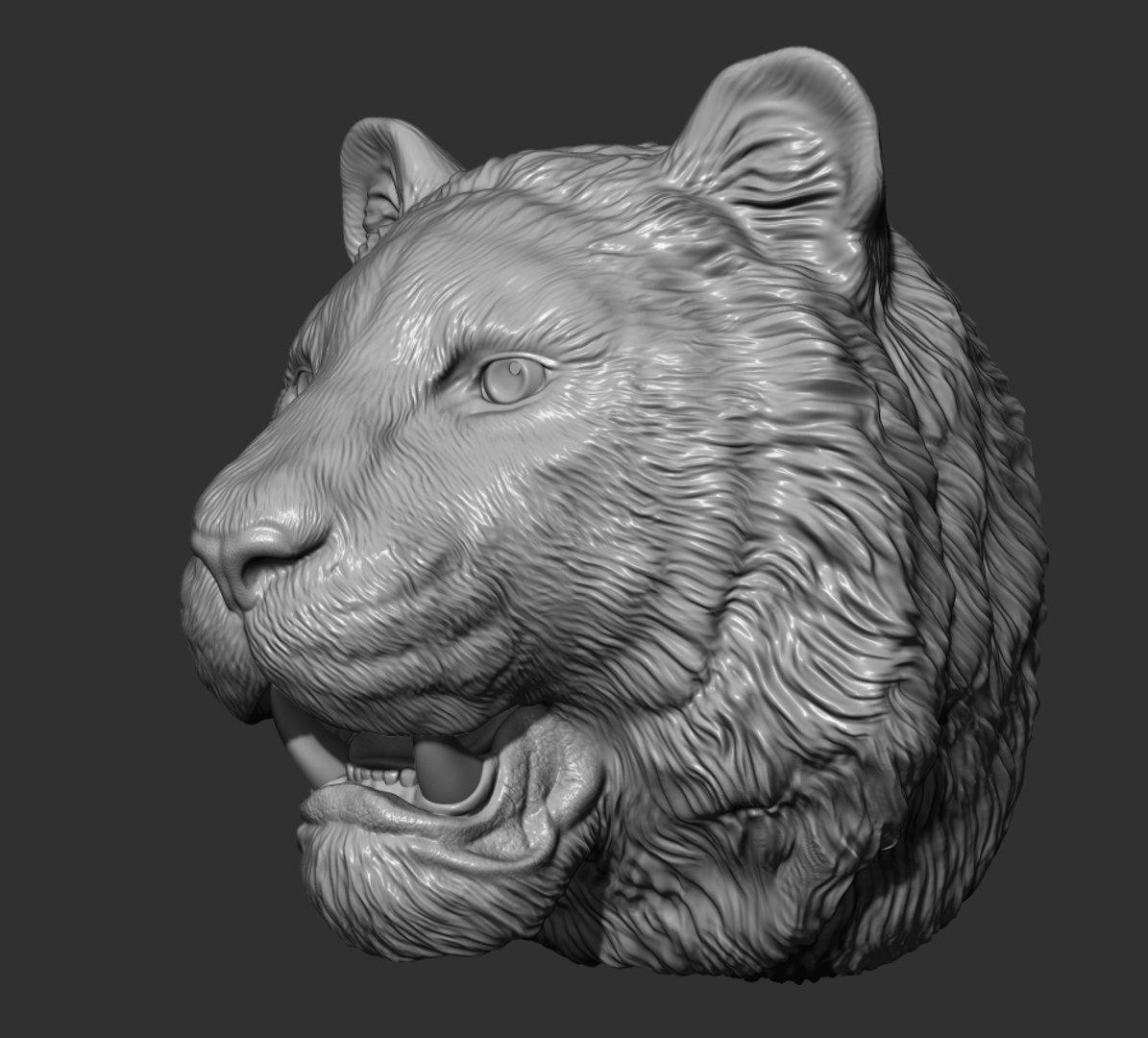 Tiger Head 3D Model - TurboSquid 1746517