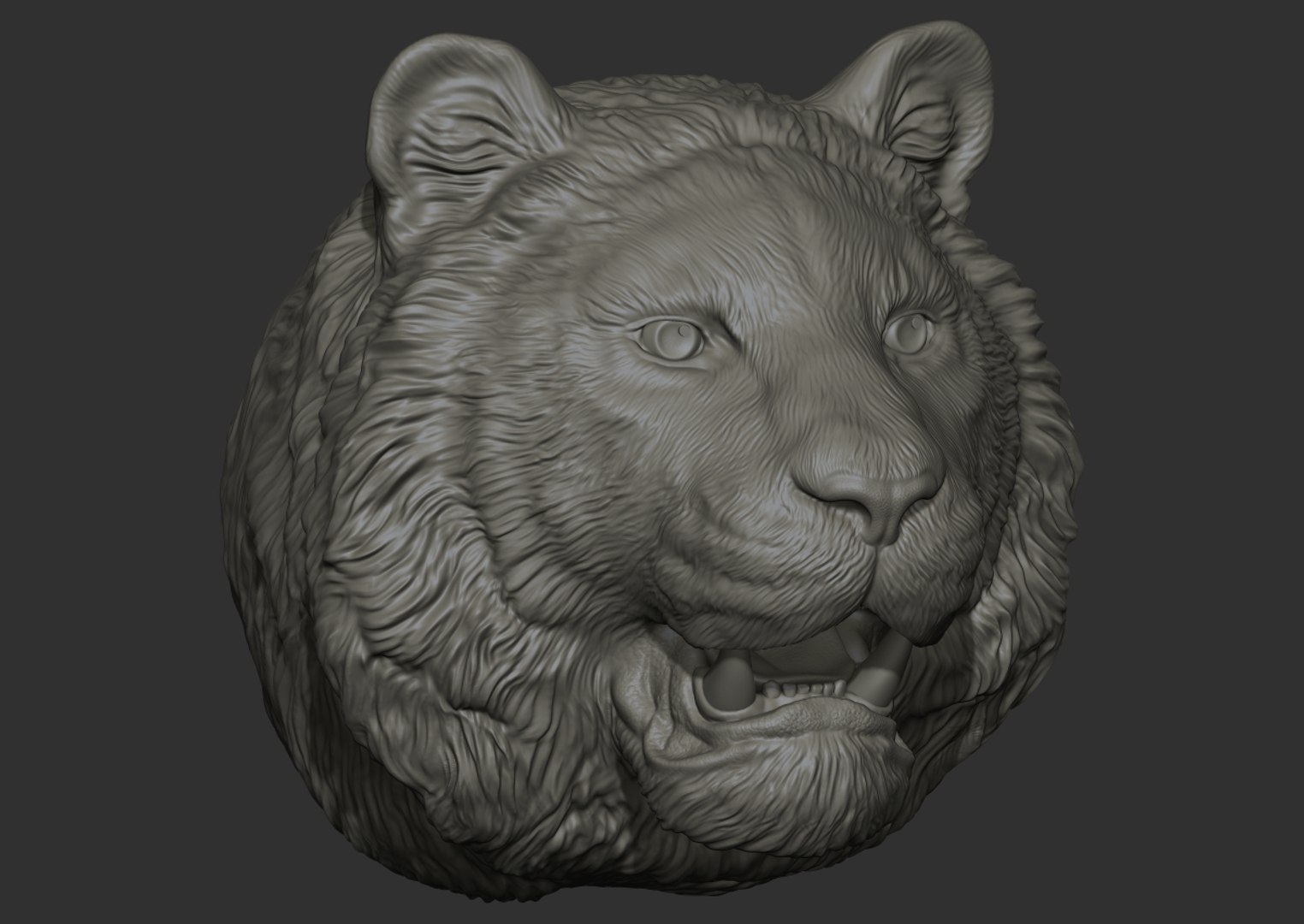Tiger Head 3D Model - TurboSquid 1746517